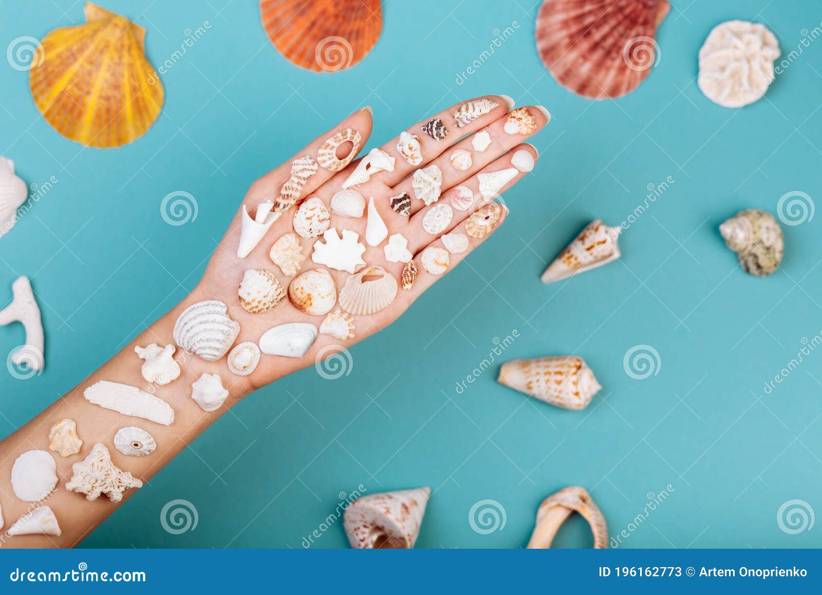 Closeup of Hand Holding Different Kinds of Seashells, Corals Ans ...
