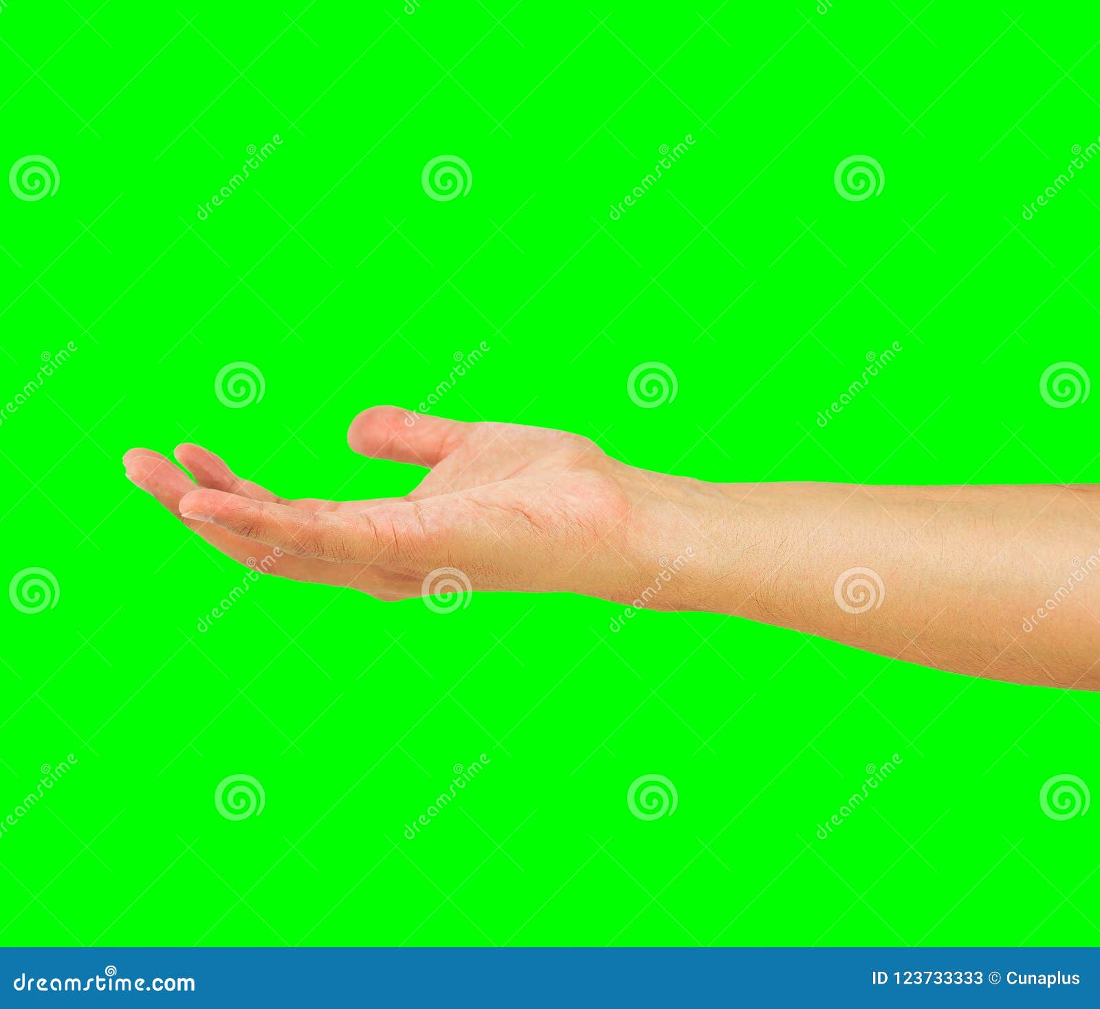 Closeup of Hand Presenting with Copy Space Isolated on White Background ...