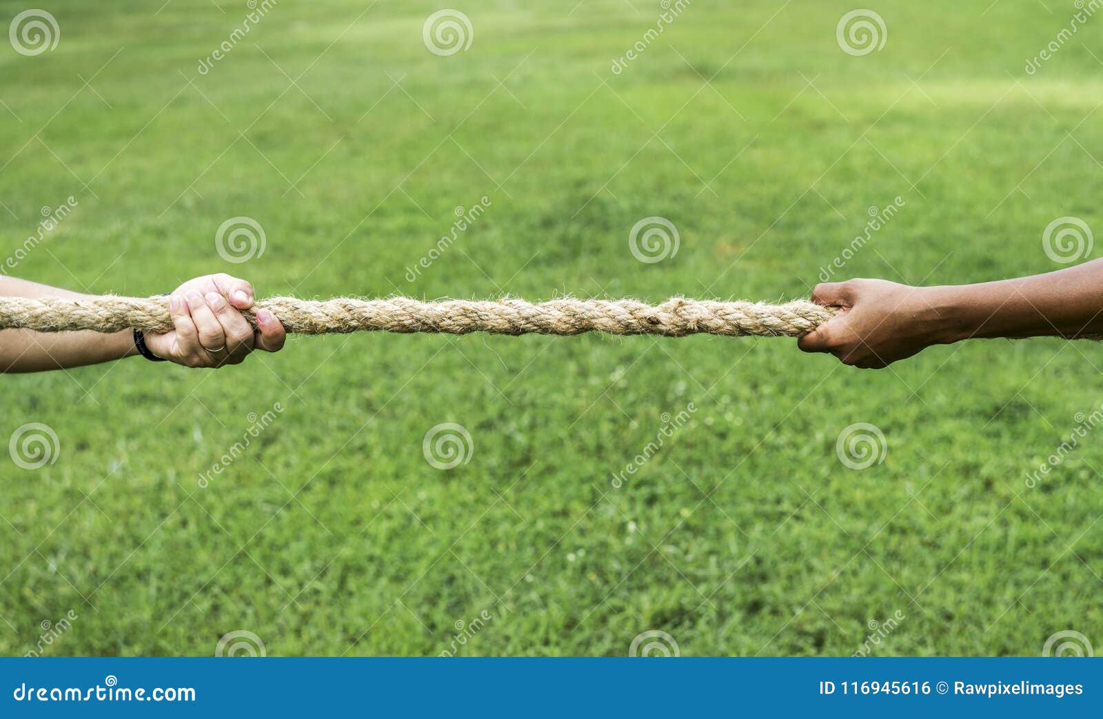 Closeup of Hand Pulling the Rope in Tug of War Game Stock Photo - Image ...