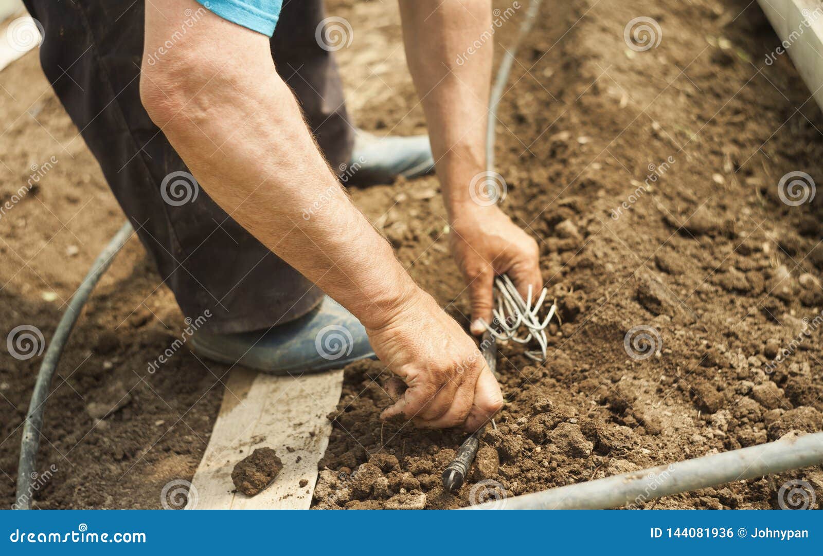 Closeup of Hand of Worker in the Field Stock Photo - Image of industry ...