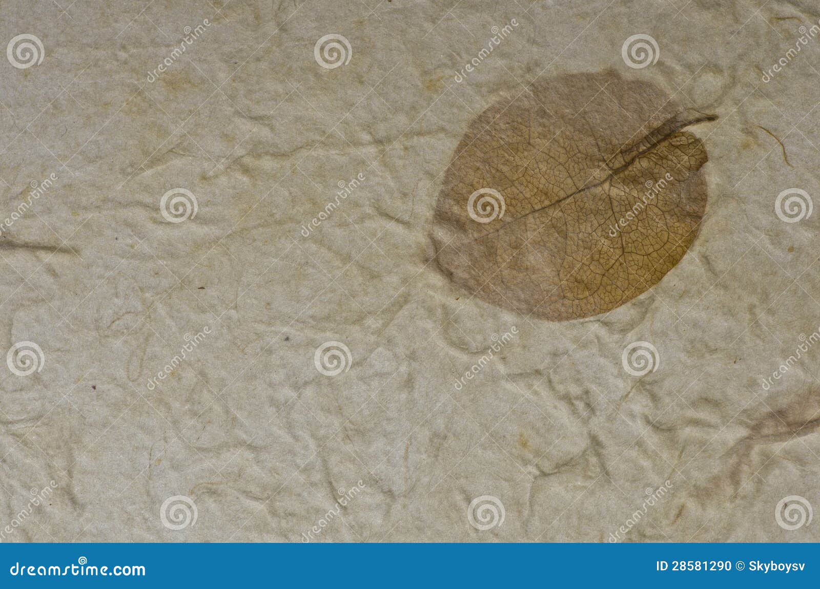 Closeup of Handmade Paper Texture Background with Leaf Stock Photo ...
