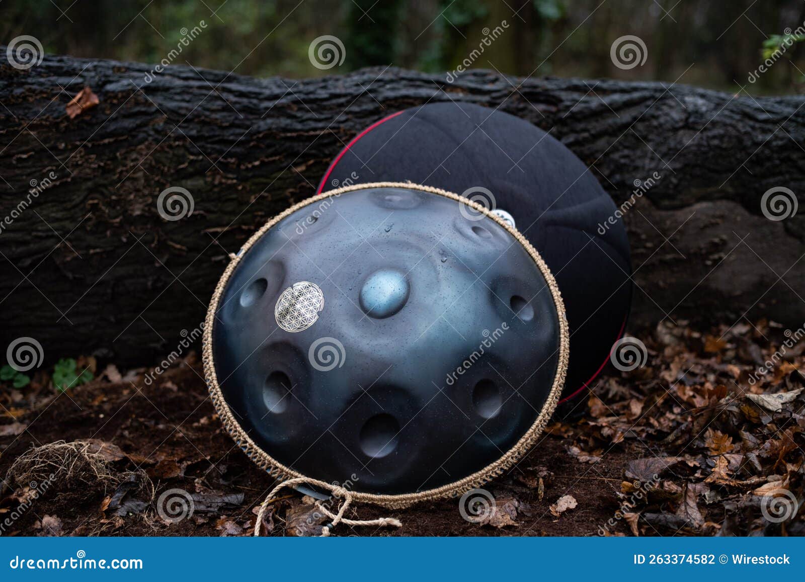 Closeup of a Handpan Music Instrument in a Forest Stock Photo - Image ...