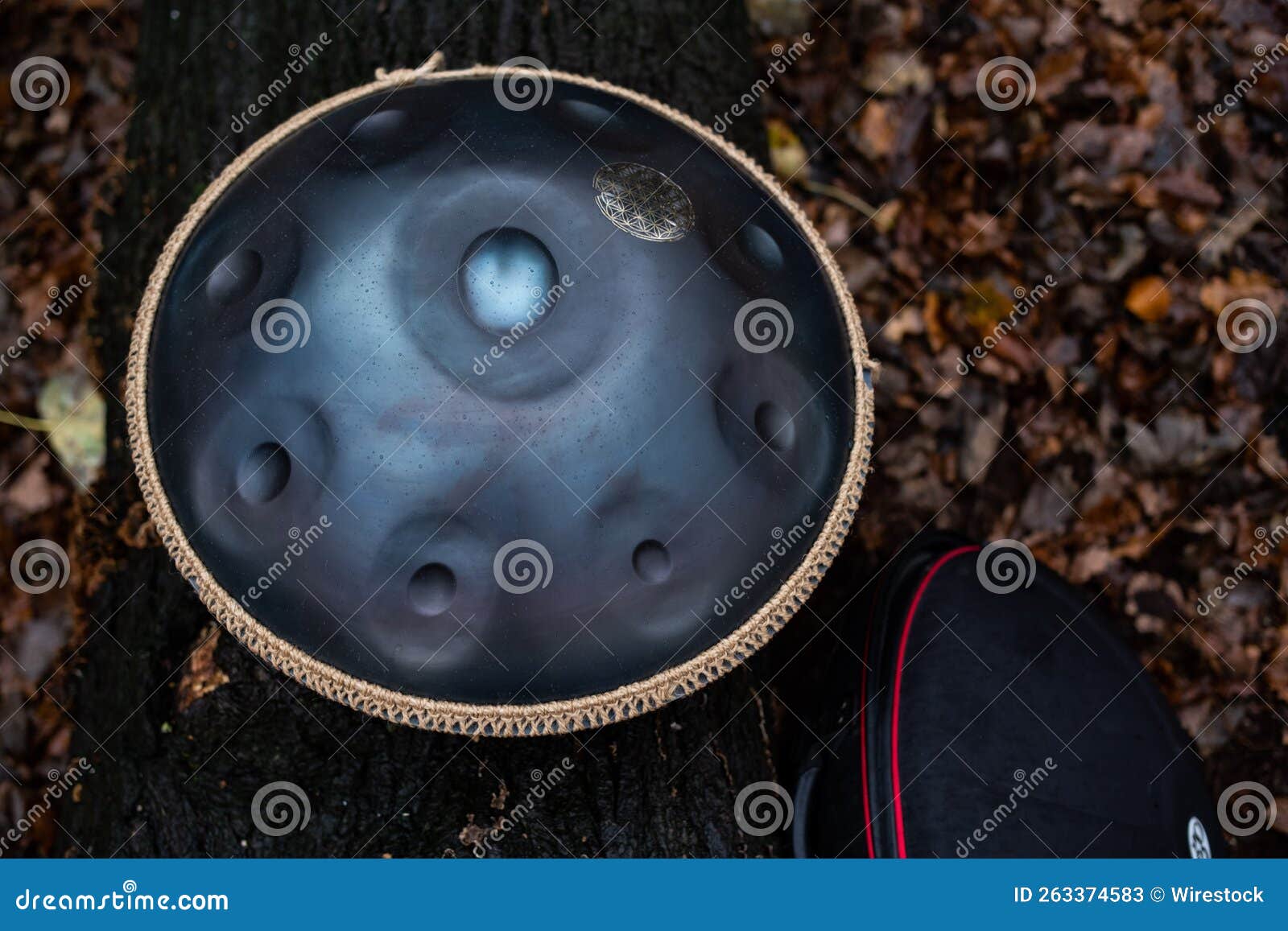 Closeup of a Handpan Music Instrument in a Forest Stock Image - Image ...