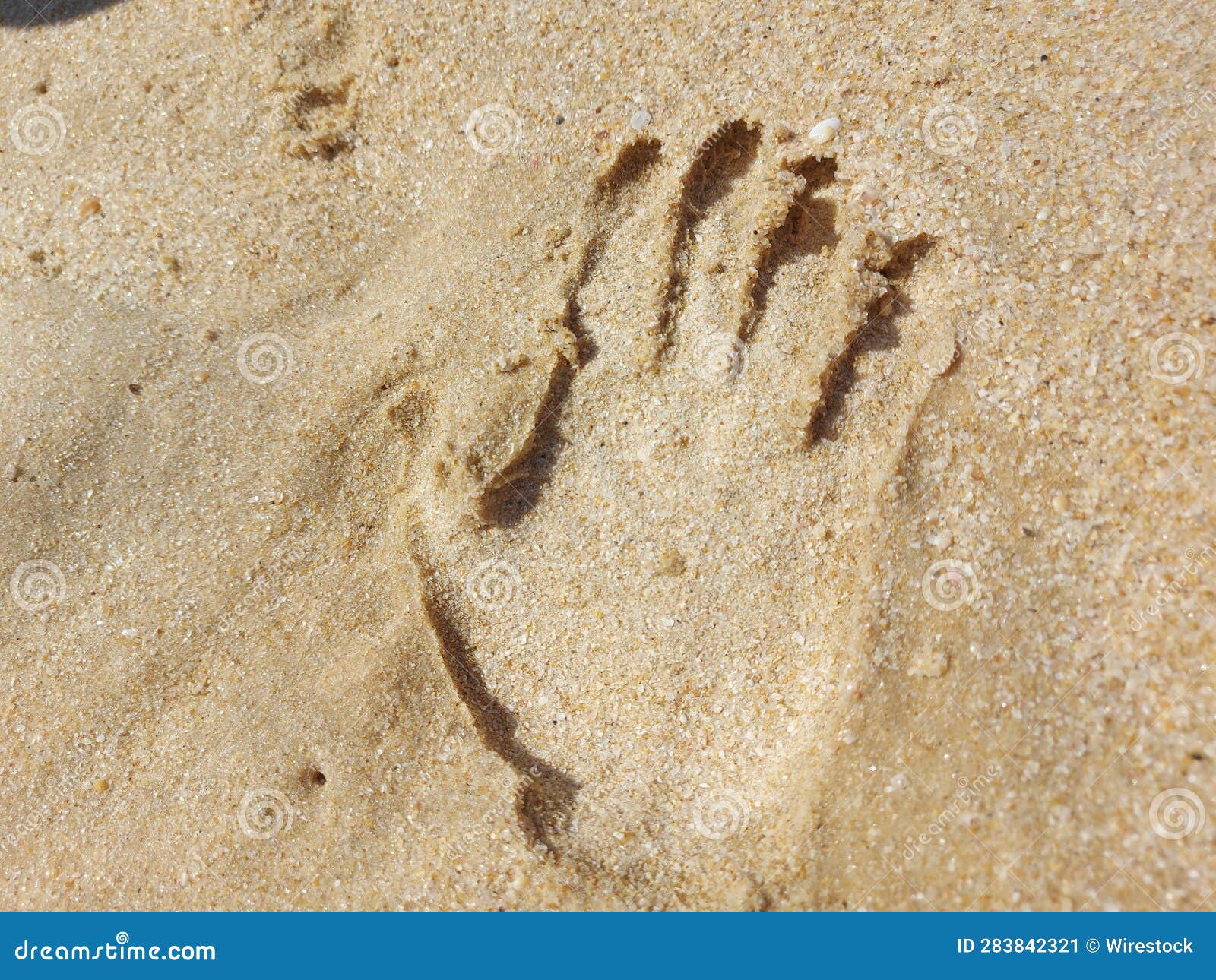 Closeup of a Handprint on the Sand in the Beach Stock Image - Image of ...