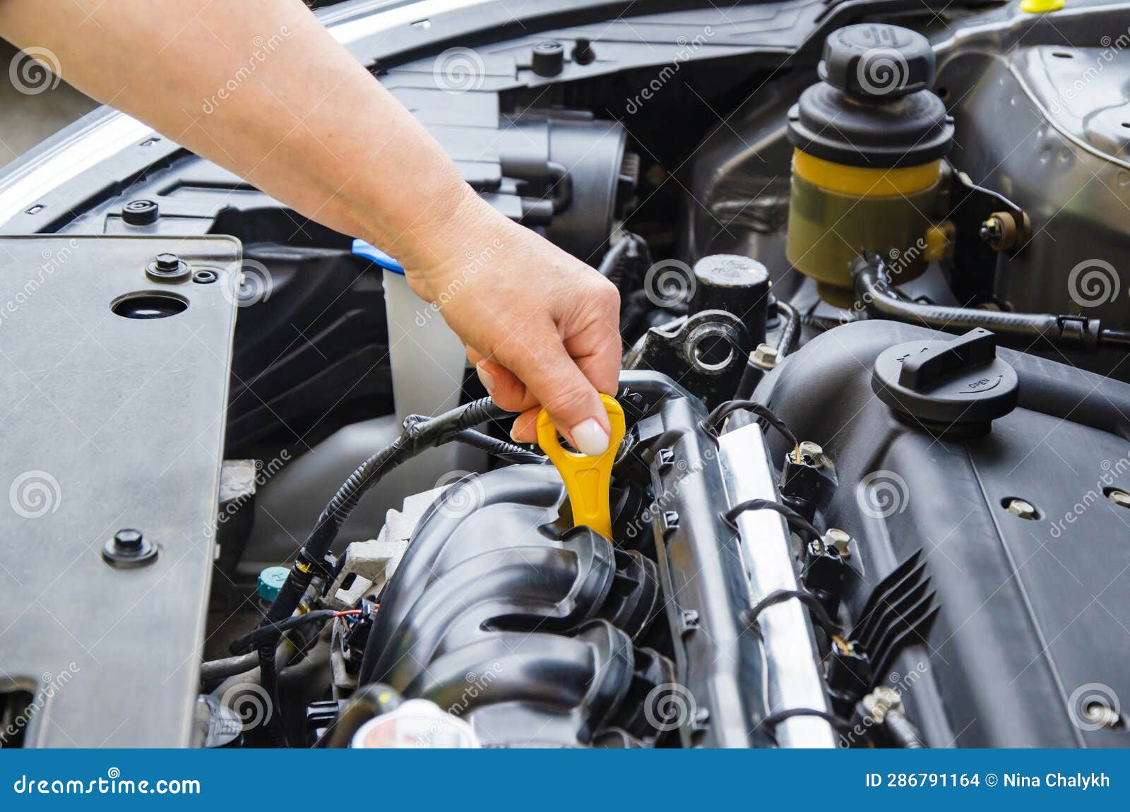 Closeup, Hands Check Engine Oil Level before Trip, Concept of Checking ...