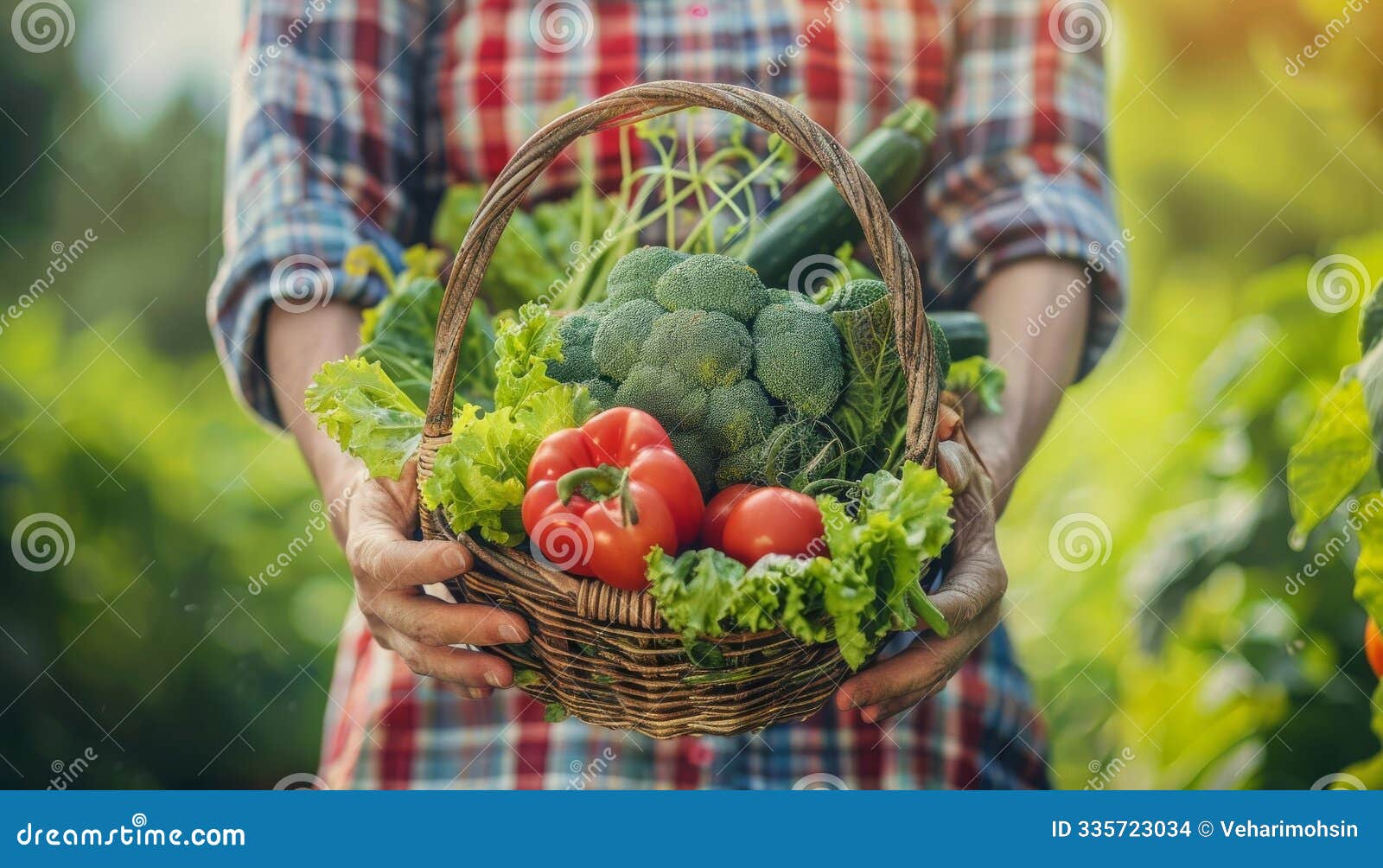 Closeup Hands Of Delivery Man Holding Package To Deliver. Courier Hand ...