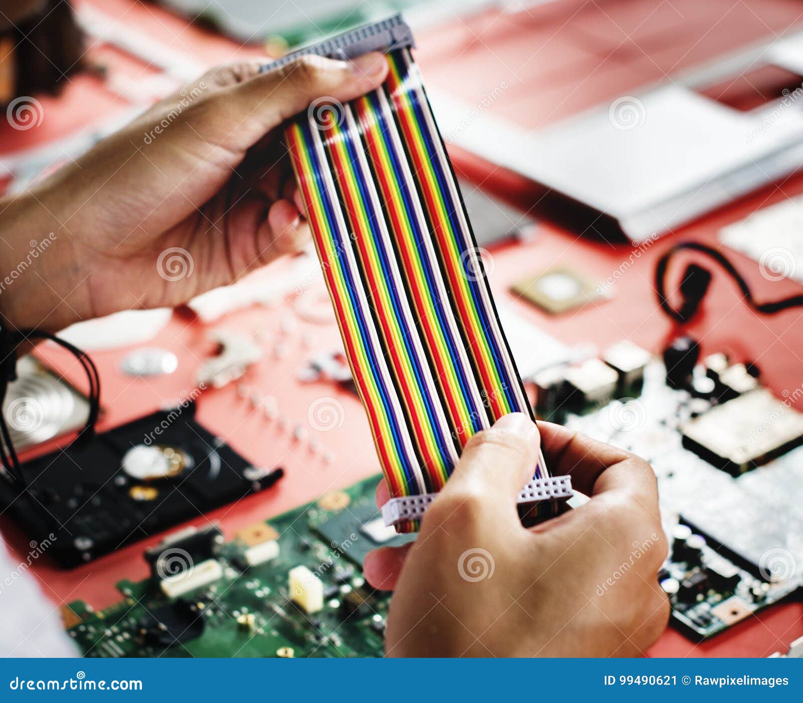 Closeup of Hands Holding Computer Breadboard Flat Wires Cables Stock ...