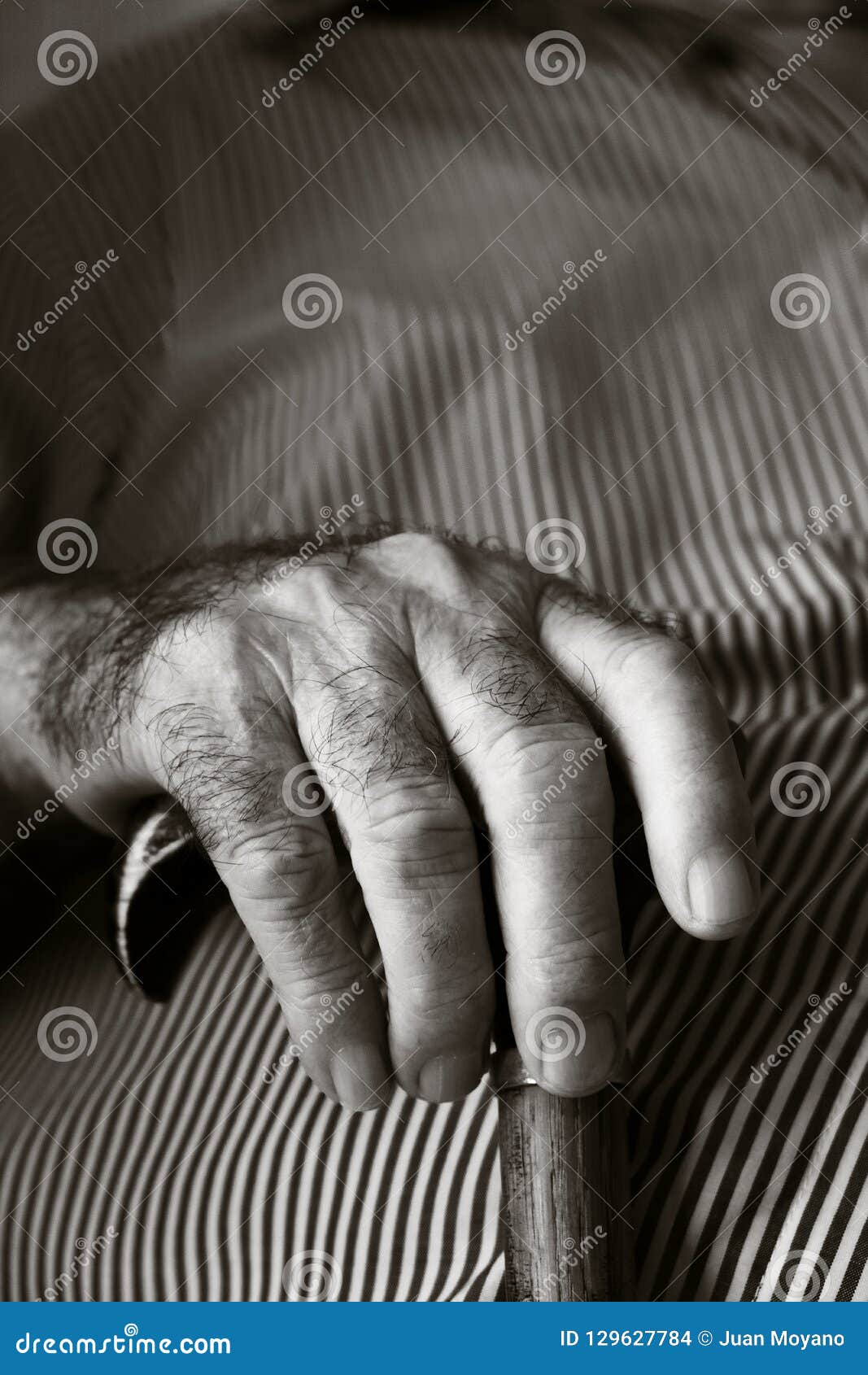Old Caucasian Man with a Walking Stick Stock Photo - Image of memory ... Old Caucasian Man with a Walking Stick Stock Photo - Image of memory ...
