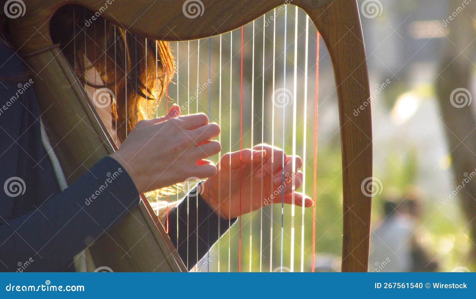 Closeup of the Hands of a Woman Playing Harp in the Park Stock Photo ...