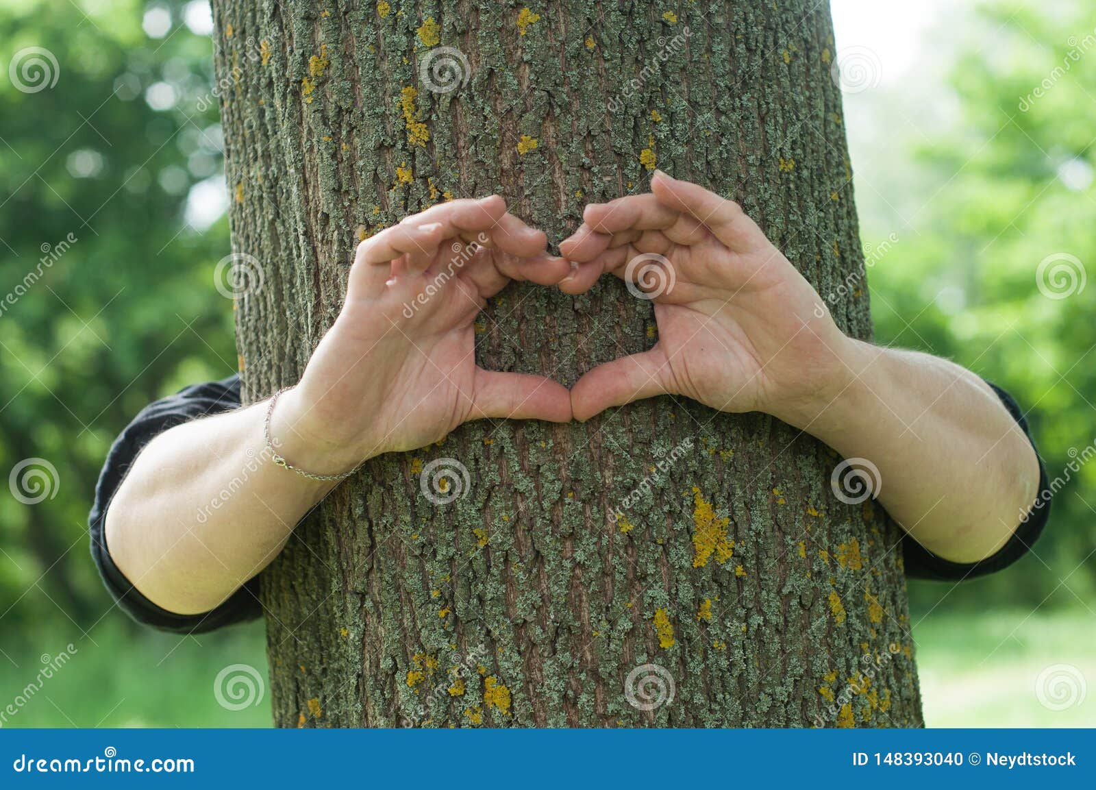 Hands of Woman in Shaped Heart on Tree Trunk in the Forest Stock Photo ...