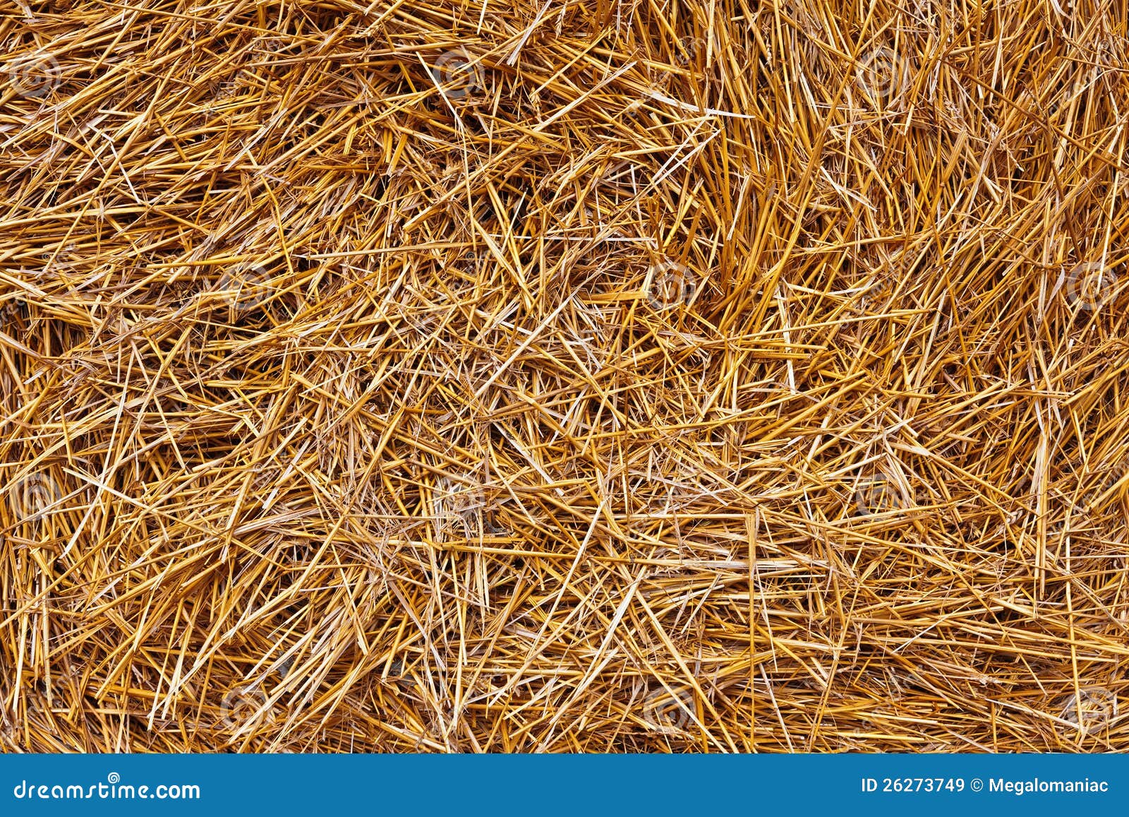 Closeup of hay background stock image. Image of bale - 26273749