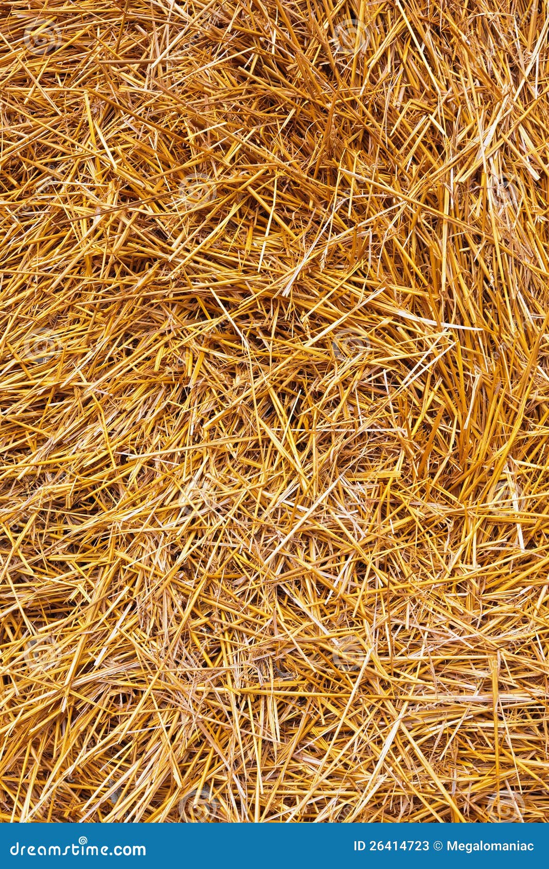 Closeup of hay background stock image. Image of yellow - 26414723