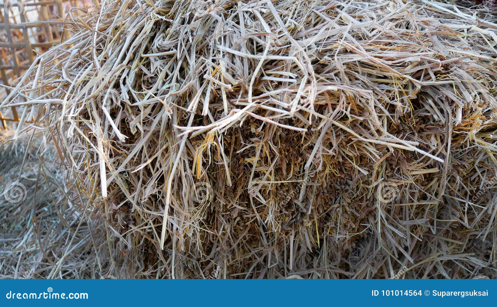 Hay Pile stock photo. Image of haystack, background - 101014564