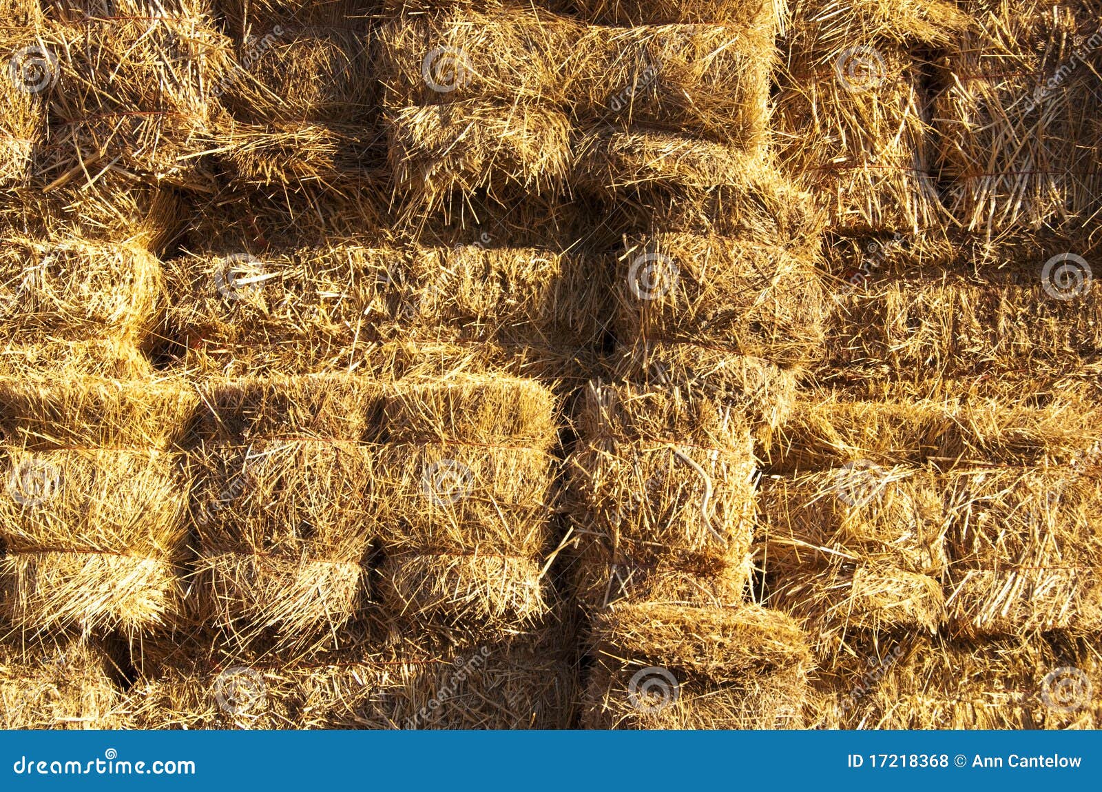 Closeup of a Haystack stock photo. Image of golden, yellow - 17218368