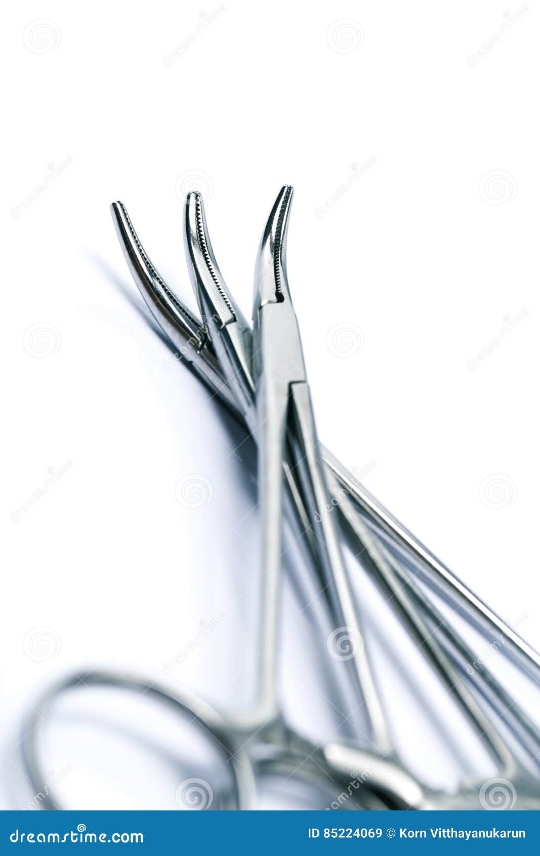 Closeup Head of Hemostatic Forceps or Locking Forceps Stock Image ...