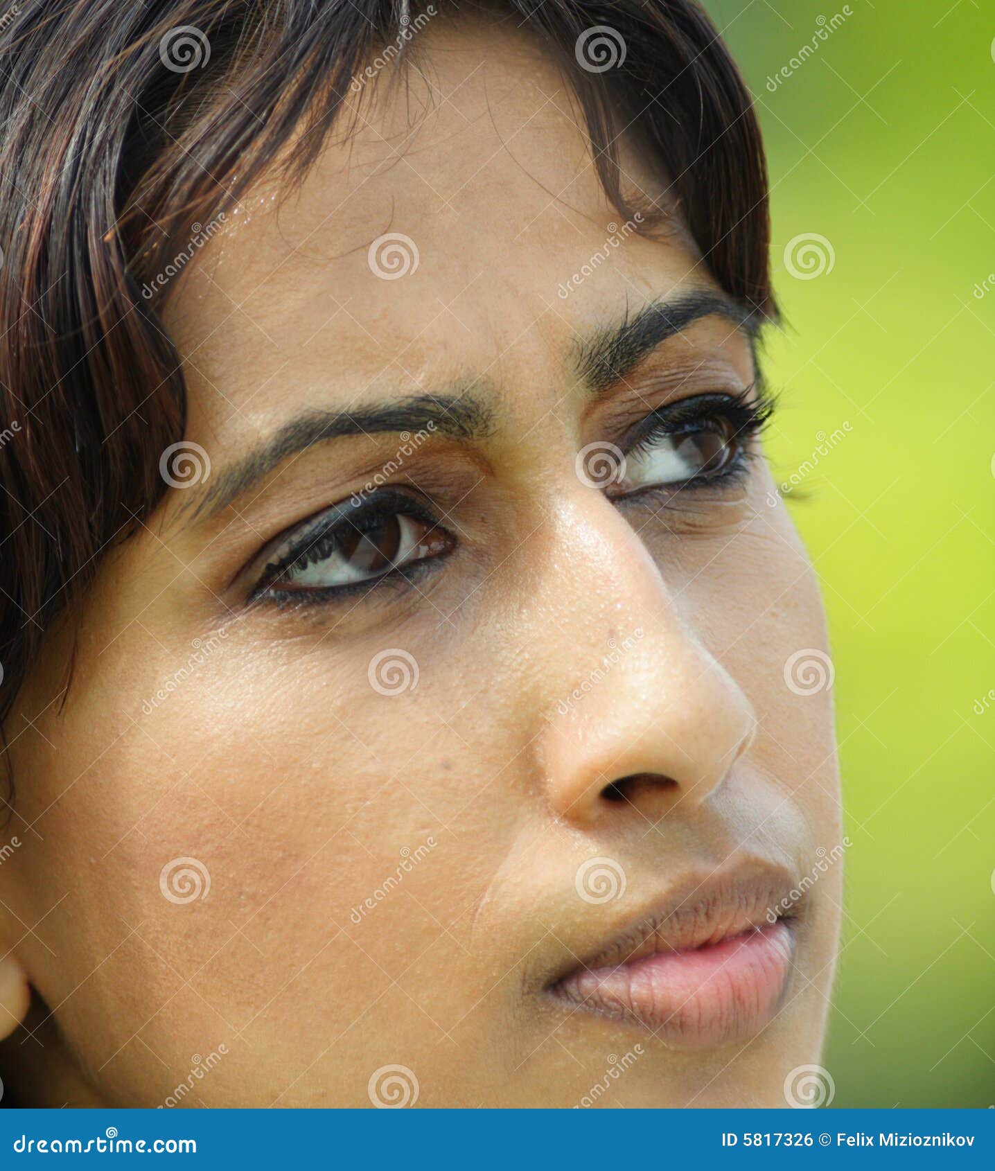 Closeup Headshot stock photo. Image of green, profile - 5817326