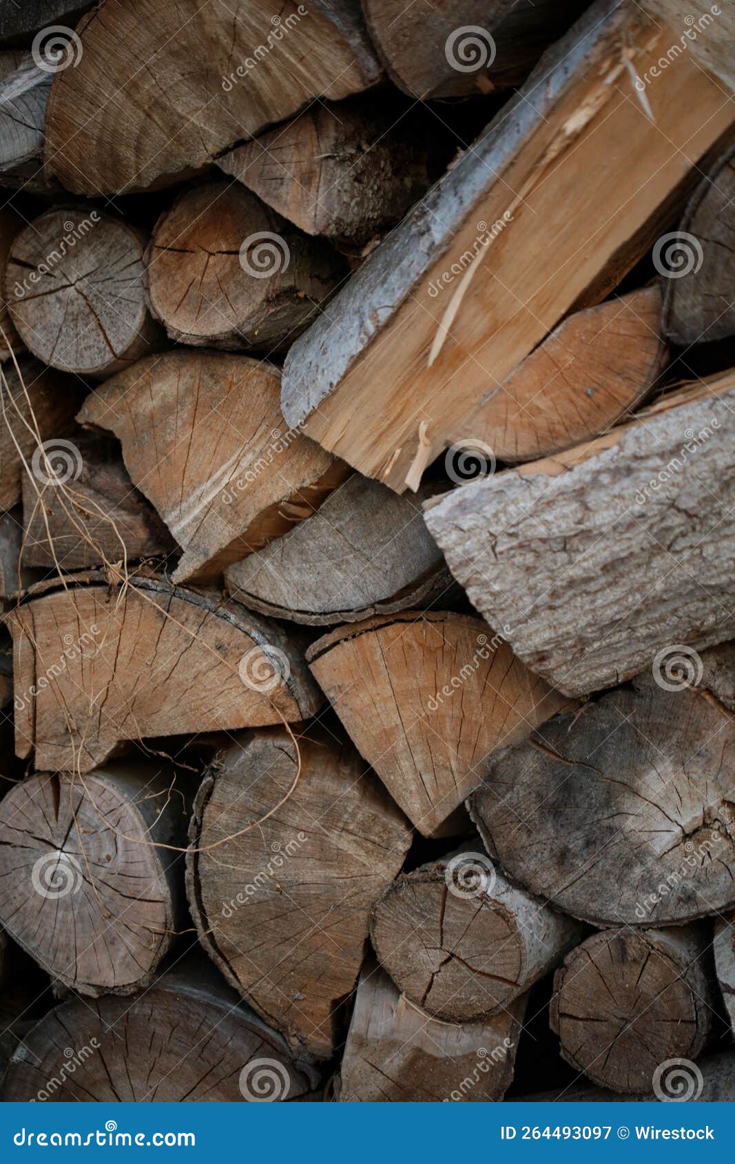 Closeup of a Heap of Cut Logs Stock Image - Image of tree, logs: 264493097