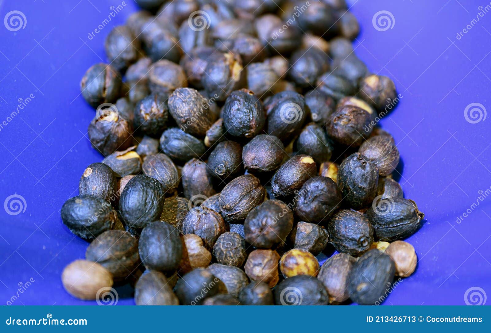 Heap of Natural Process Coffee Beans in a Vivid Blue Plate Stock Image ...