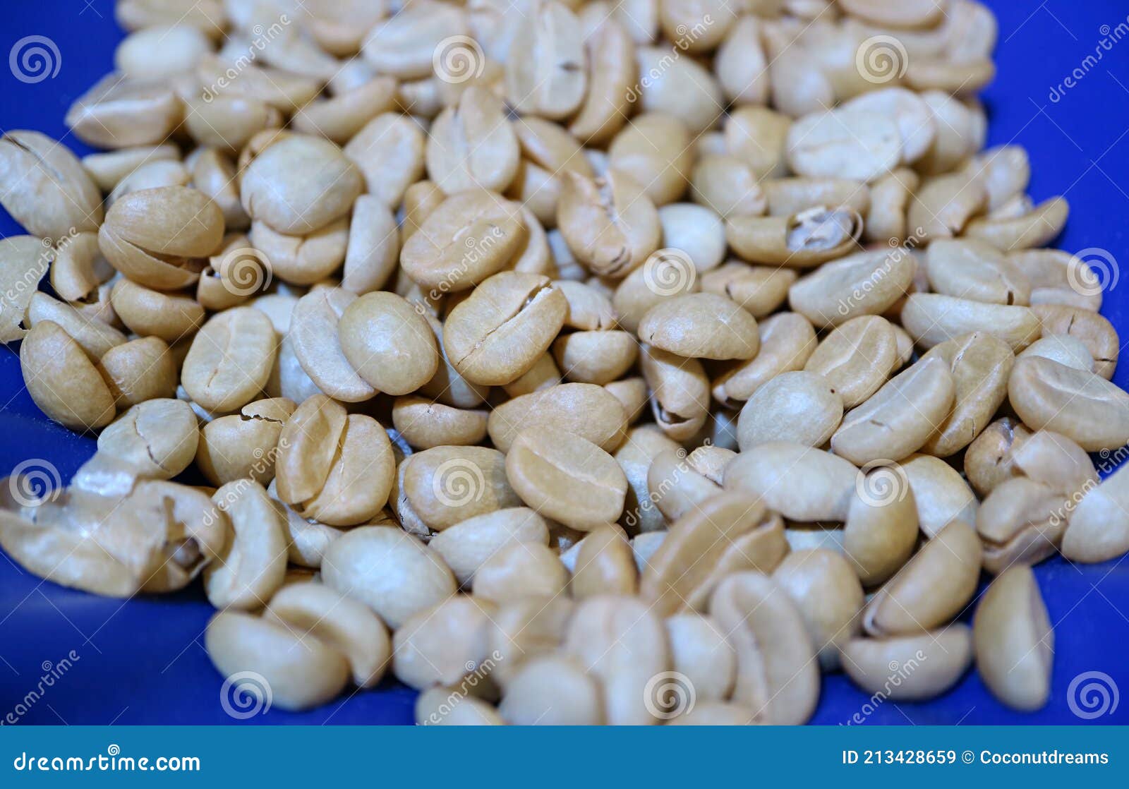 Heap of Parchment Coffee Beans before Roasting Process Stock Image ...