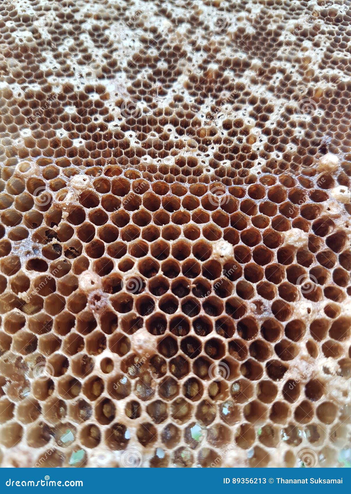 Closeup Honeycomb Grid Texture With Red Light. Red And Dark Metal ...