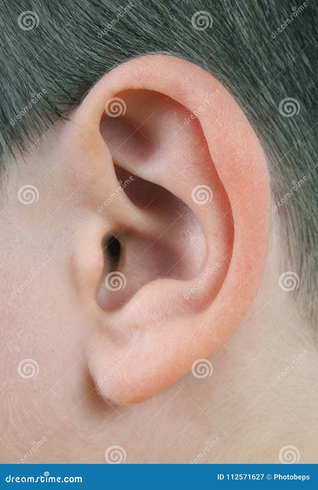 Closeup of human ear stock image. Image of direction - 112571627