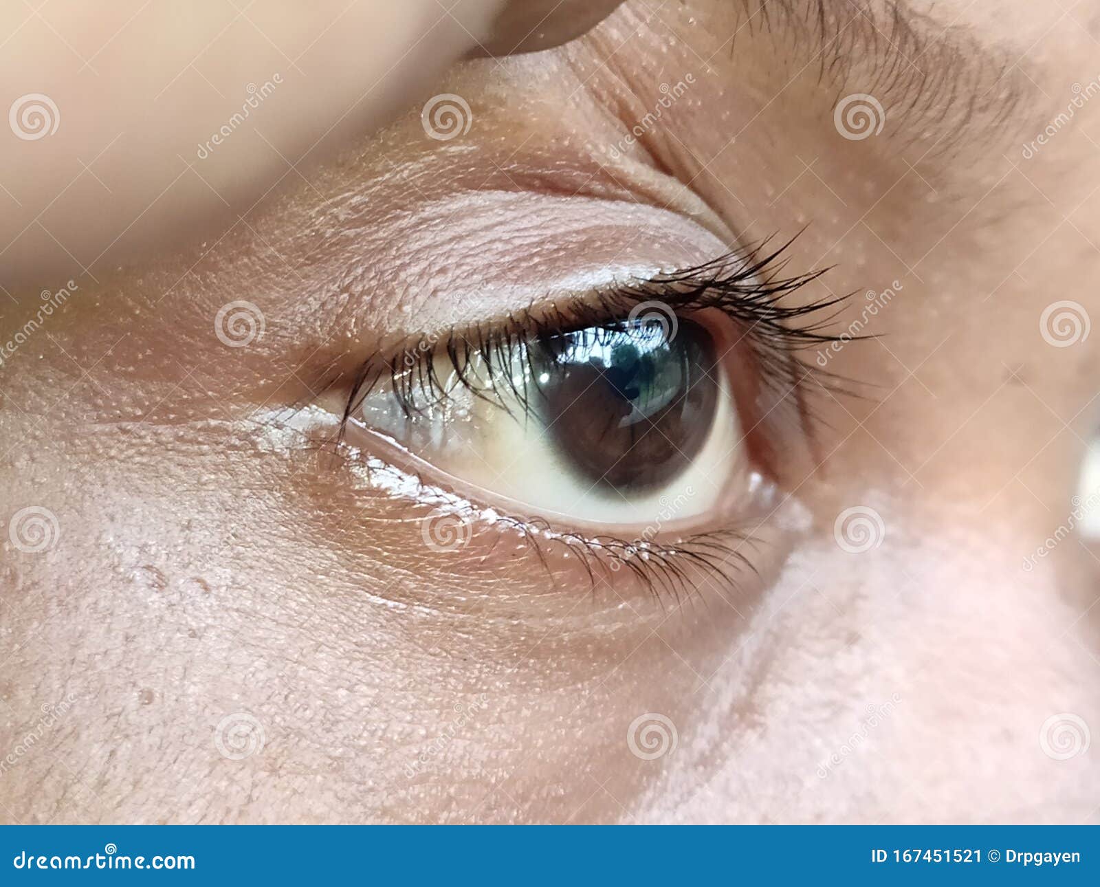 Closeup of Human Eye of Brown Color. Stock Image - Image of cheek ...