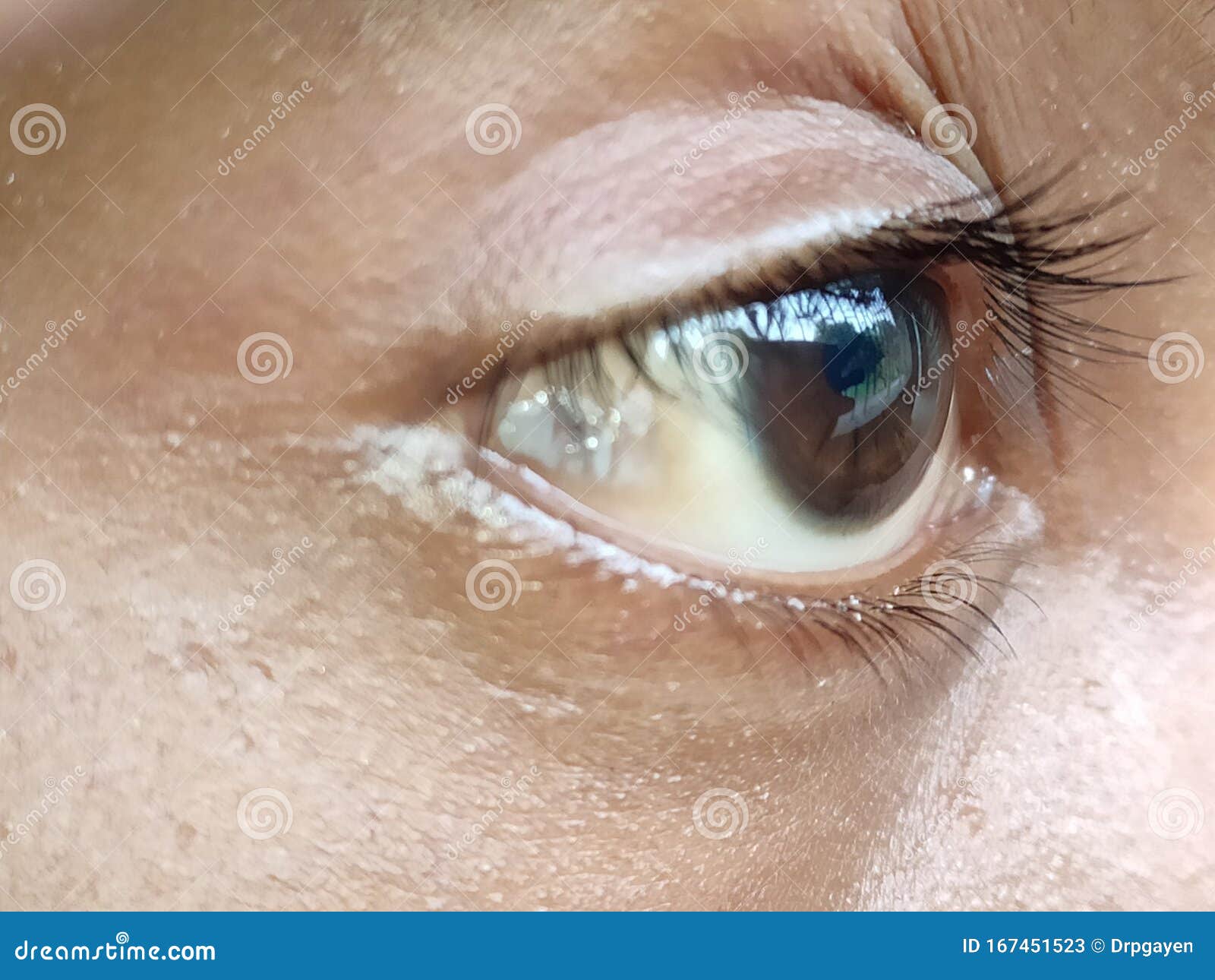 Closeup of Human Eye of Brown Color. Stock Image - Image of forehead ...