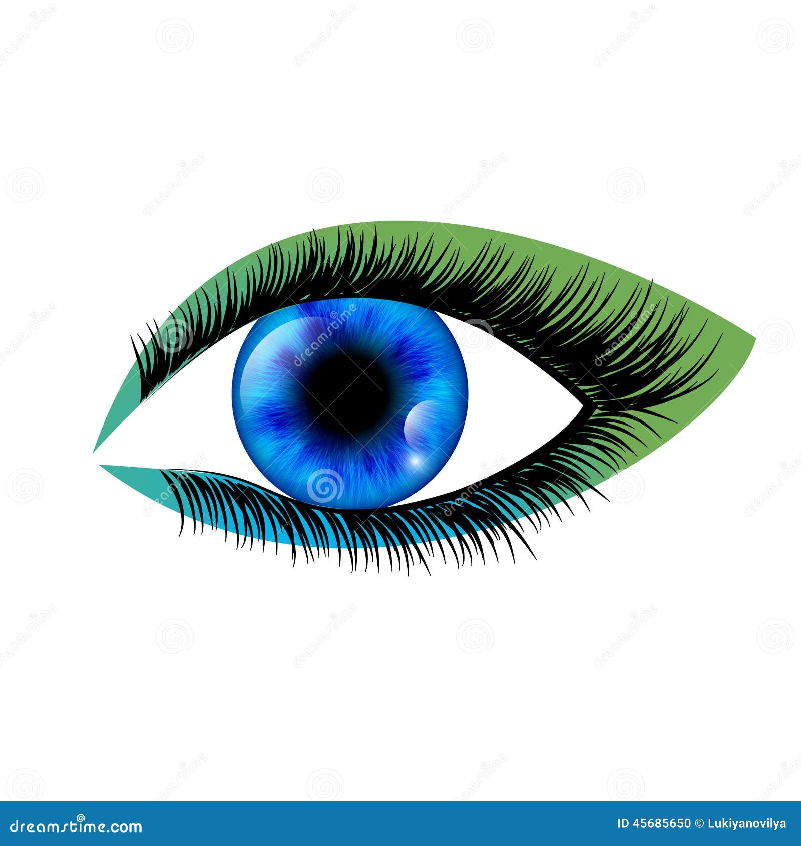 Closeup Human Eye. Vector Illustration Stock Vector - Illustration of ...