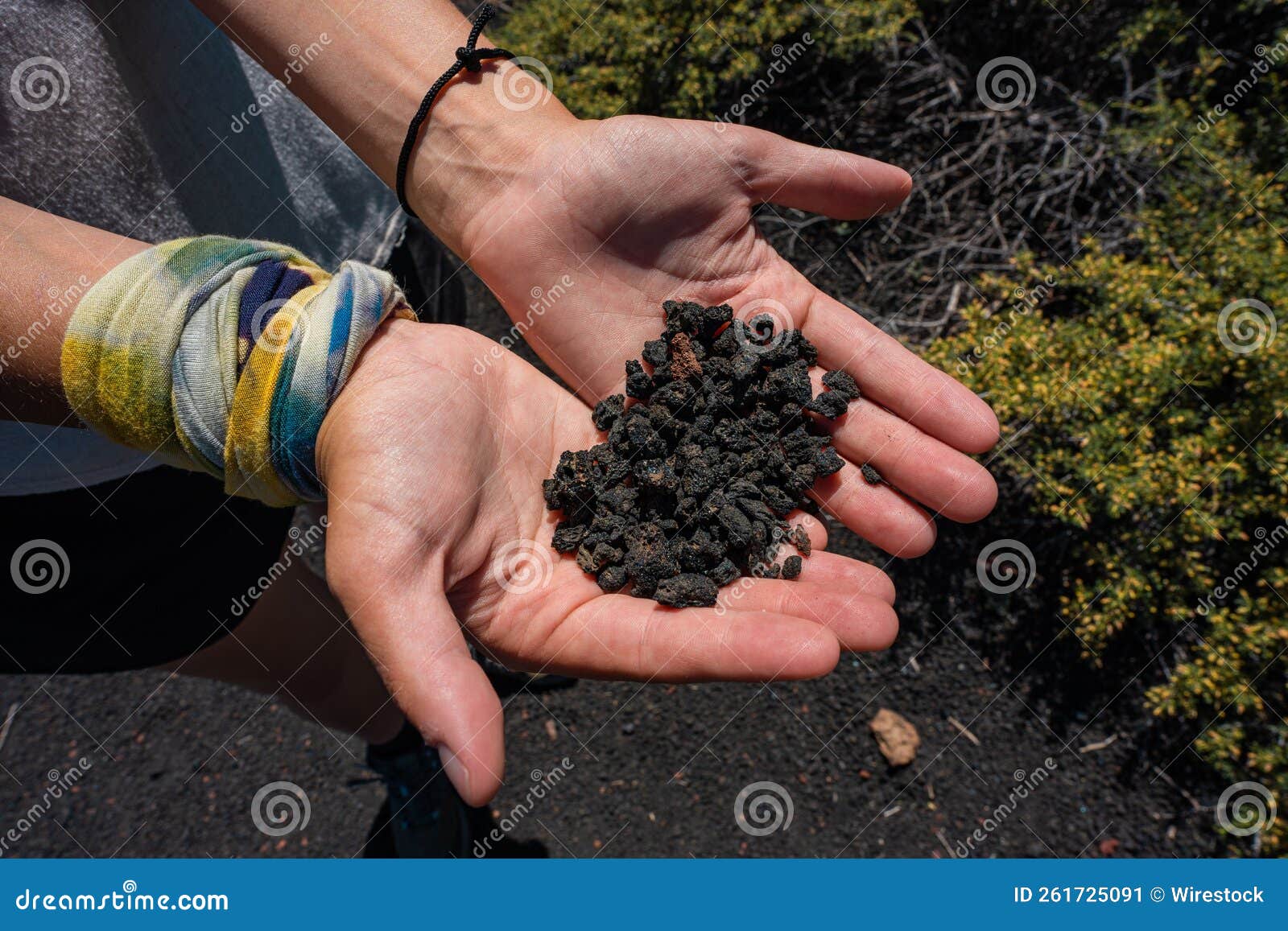 Closeup of Human Hands Holding Rocks Stock Image - Image of pile ...