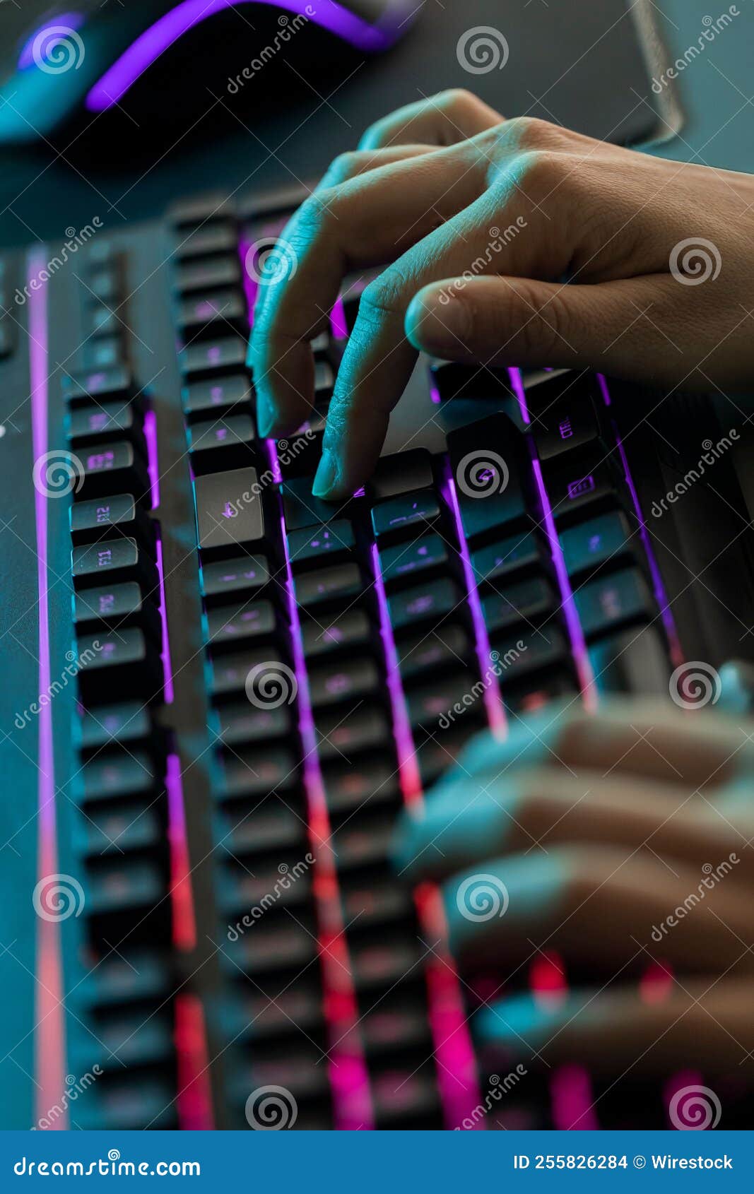 Closeup of Human Hands Working on a Keyboard. Stock Photo - Image of ...