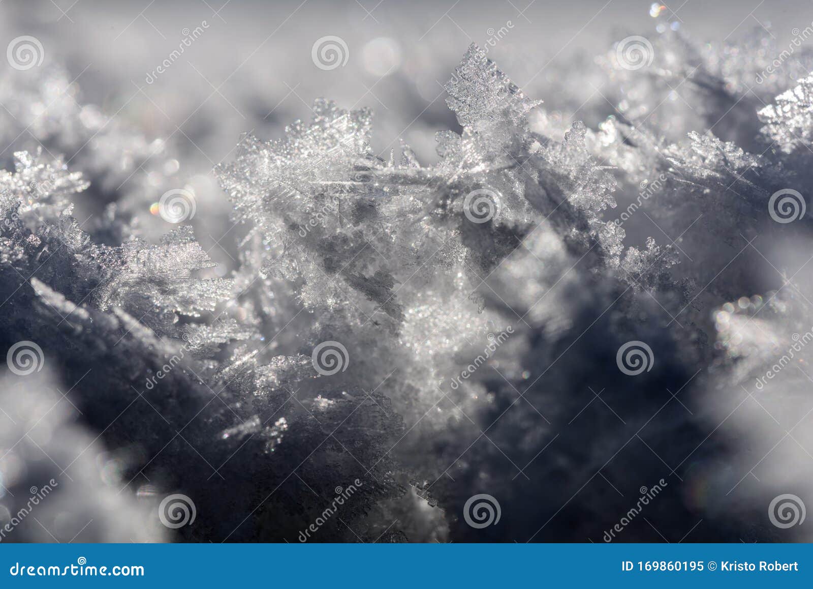 Closeup of Ice Crystals Frozen in Winter. Stock Image - Image of ...