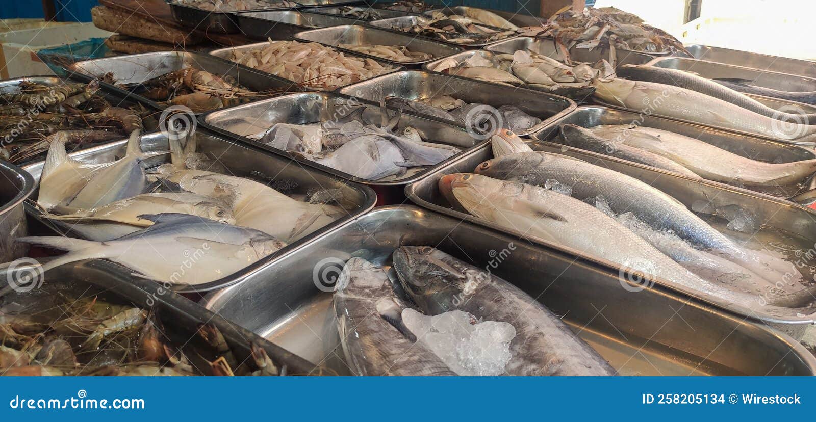 Closeup of Iced Fish in Market Stock Photo - Image of seafood ...