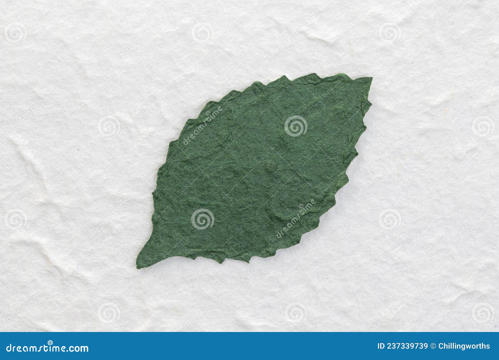 Closeup Image of a Leaf Cut Out of Green Textured Craft Paper Stock ...