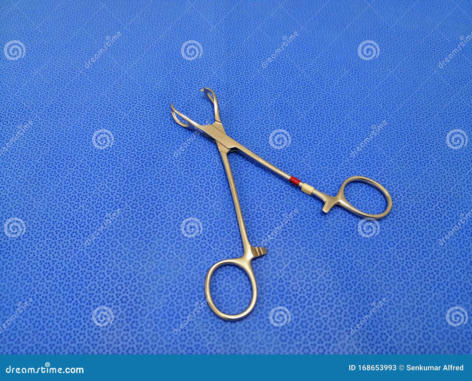 Lanes forceps stock image. Image of instruments, lock - 168653993