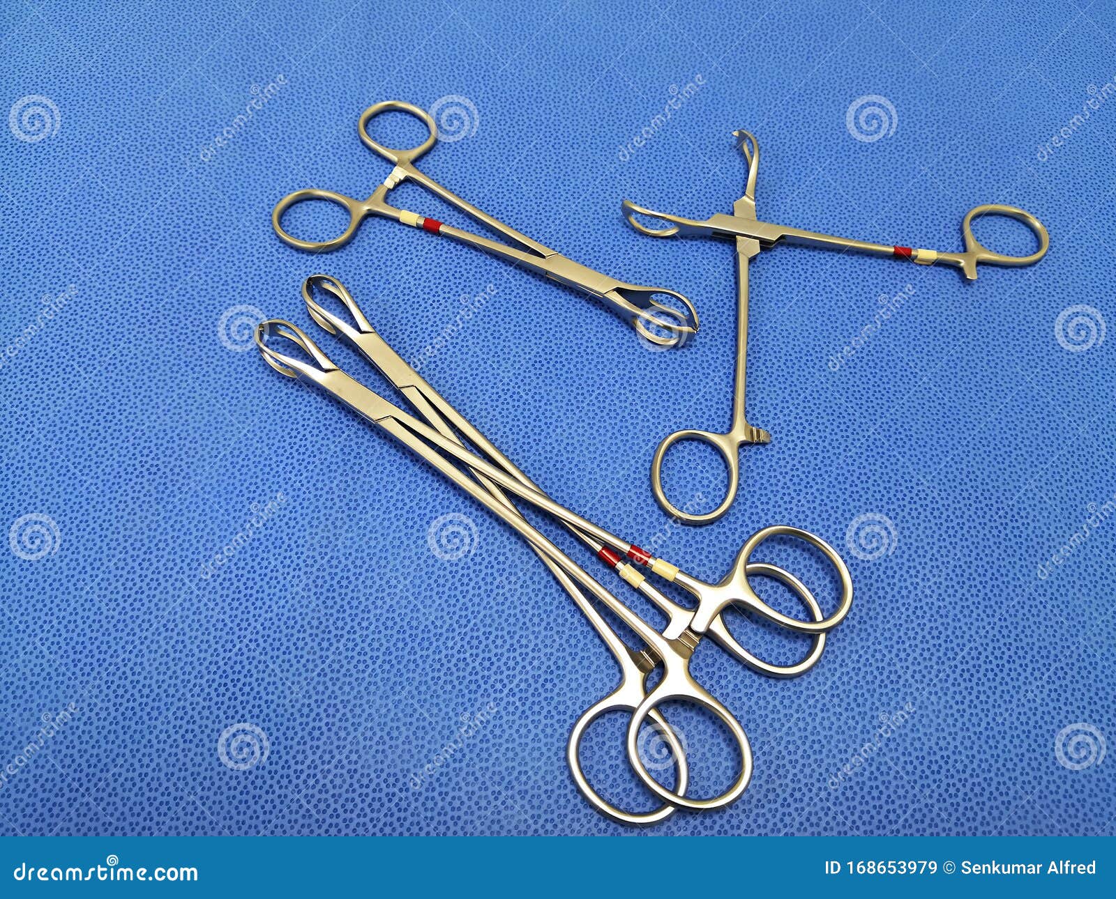 Many Lanes forceps stock image. Image of artery, open - 168653979