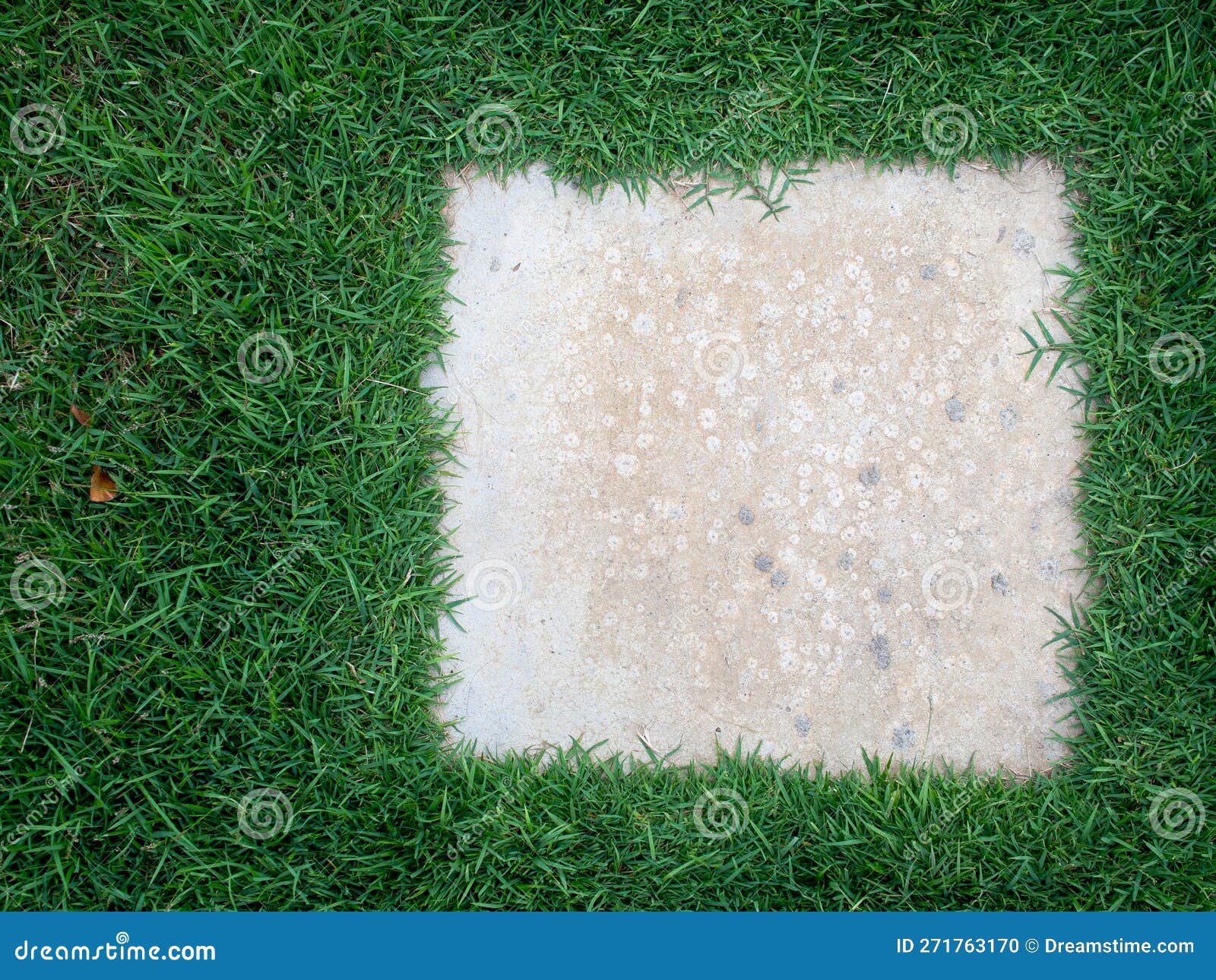 Closeup the Image on the Top View of the Texture Lawn, There is Space ...