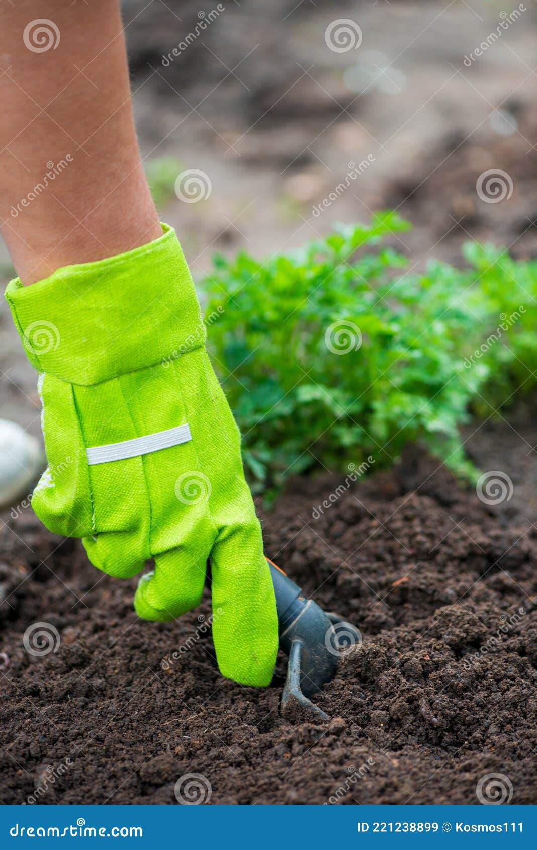 Closeup Image of Woman with Spade Digging Soil Stock Image - Image of ...