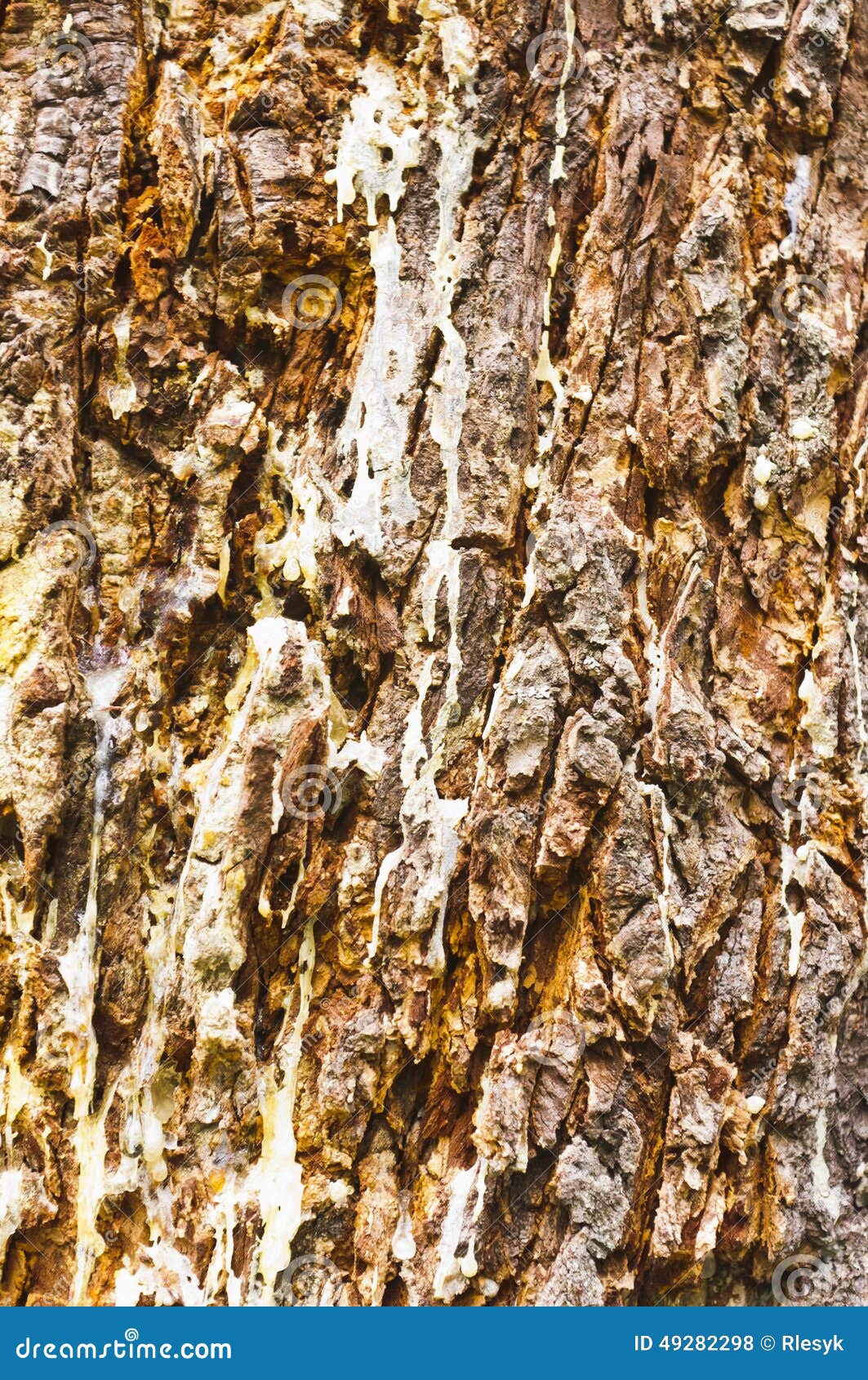 Infected Tree Leaves Royalty-Free Stock Photography | CartoonDealer.com ...