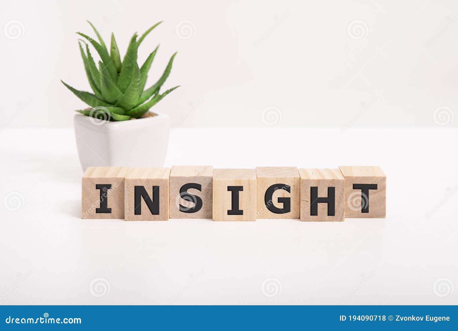 Closeup Insight Word on White Background, Intelligence and Knowledge ...