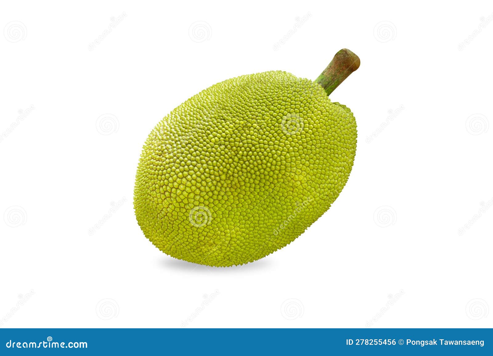 Closeup Jackfruit with Isolated on White Background Stock Photo - Image ...