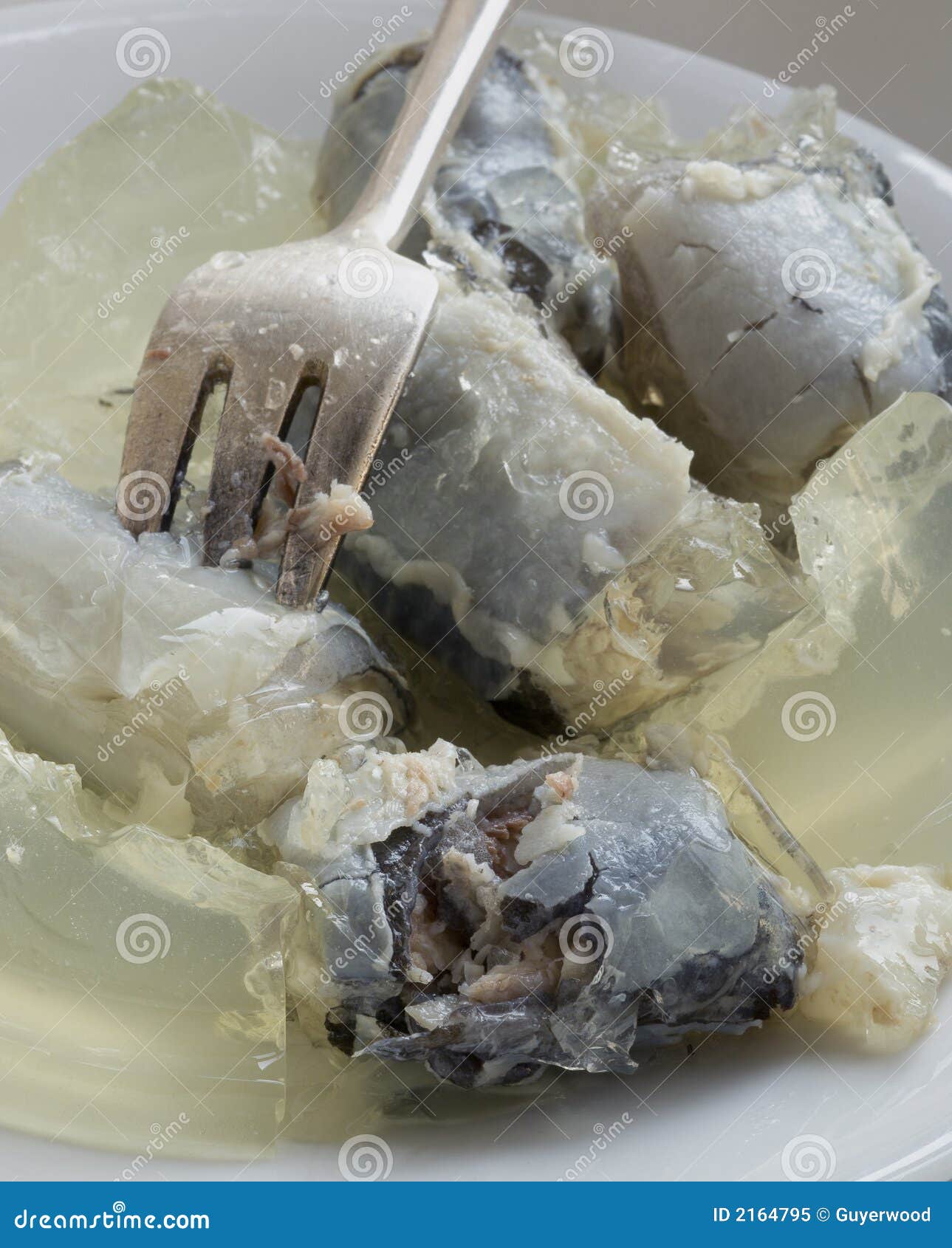 Closeup jellied eels stock image. Image of traditional - 2164795