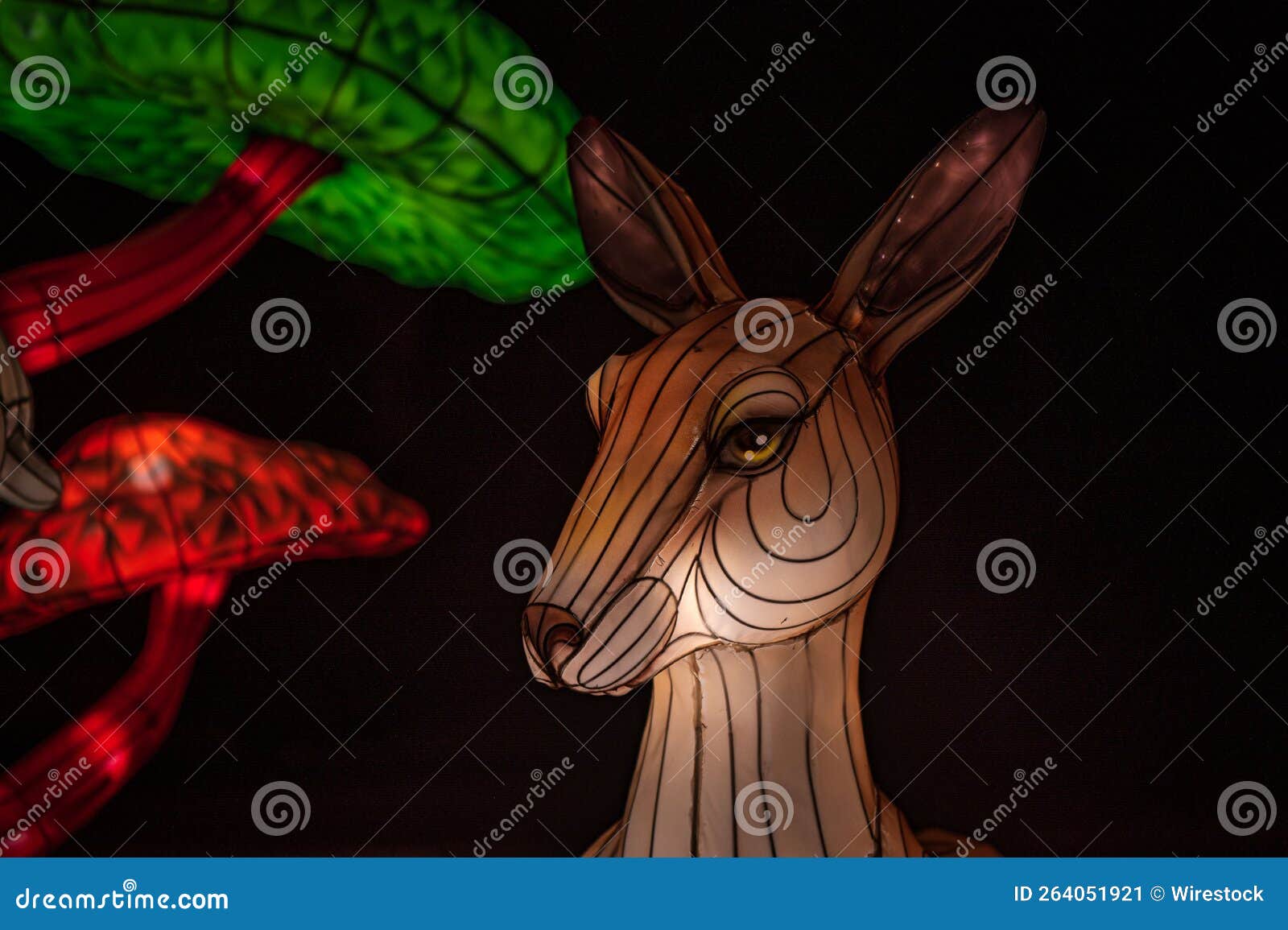 Closeup of a Kangaroo Illuminated at Night in a Park Stock Image ...