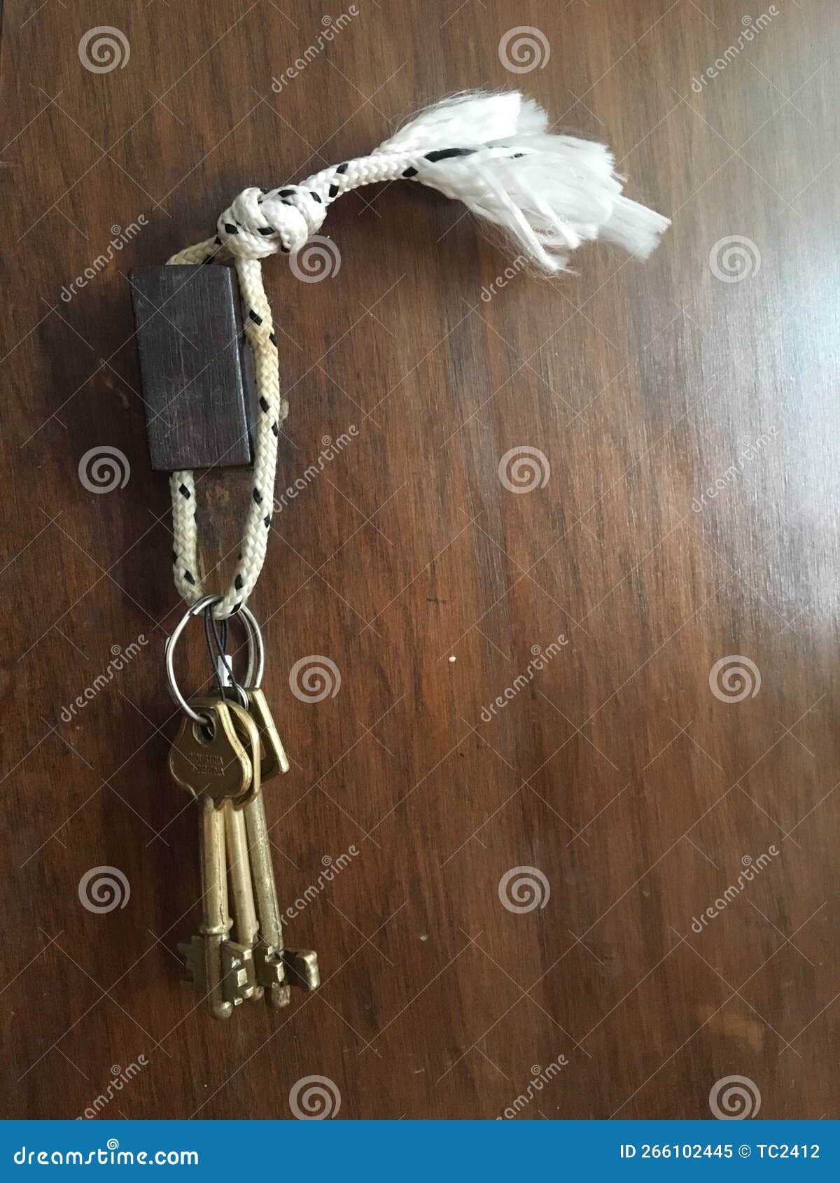 Closeup of the Keys of a Door Stock Image - Image of keys, protect ...
