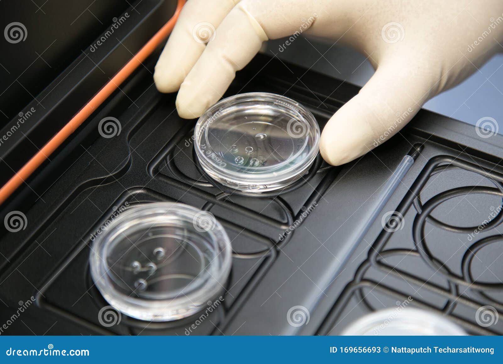 Closeup of Lab Equipment for Scientific Research with Fluids Stock ...