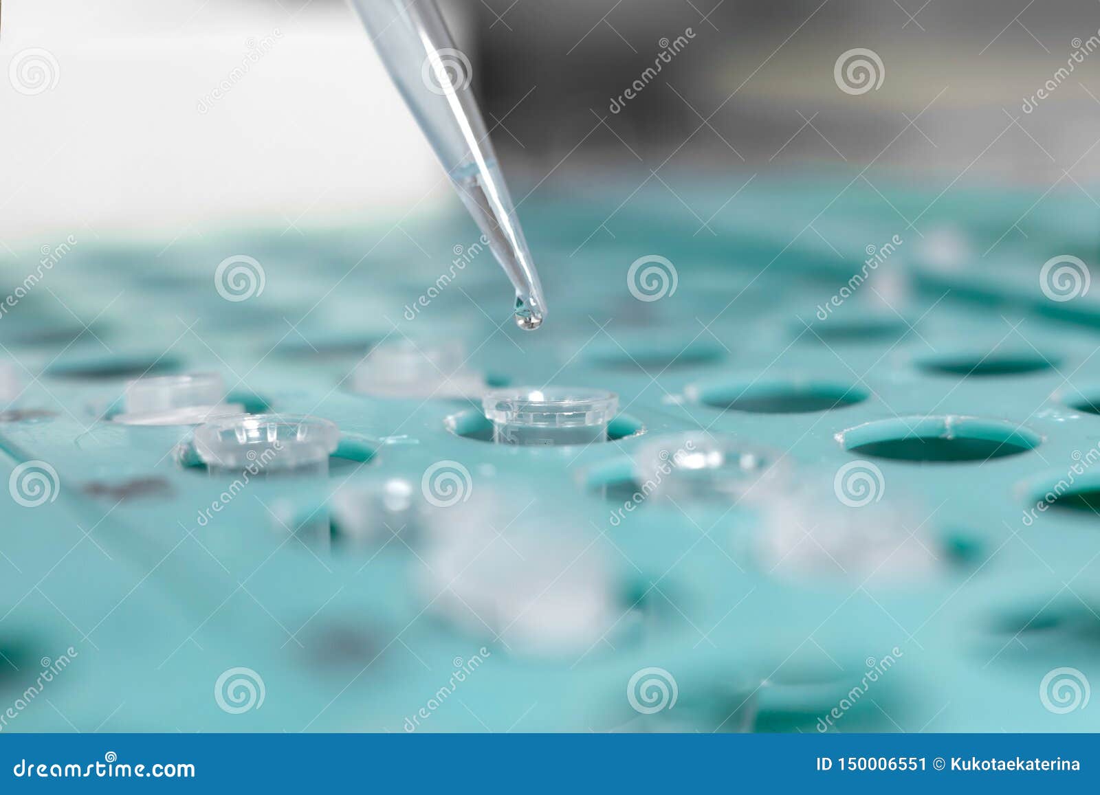 Closeup Laboratory Assistant Analyzing a Blood Sample Using ...