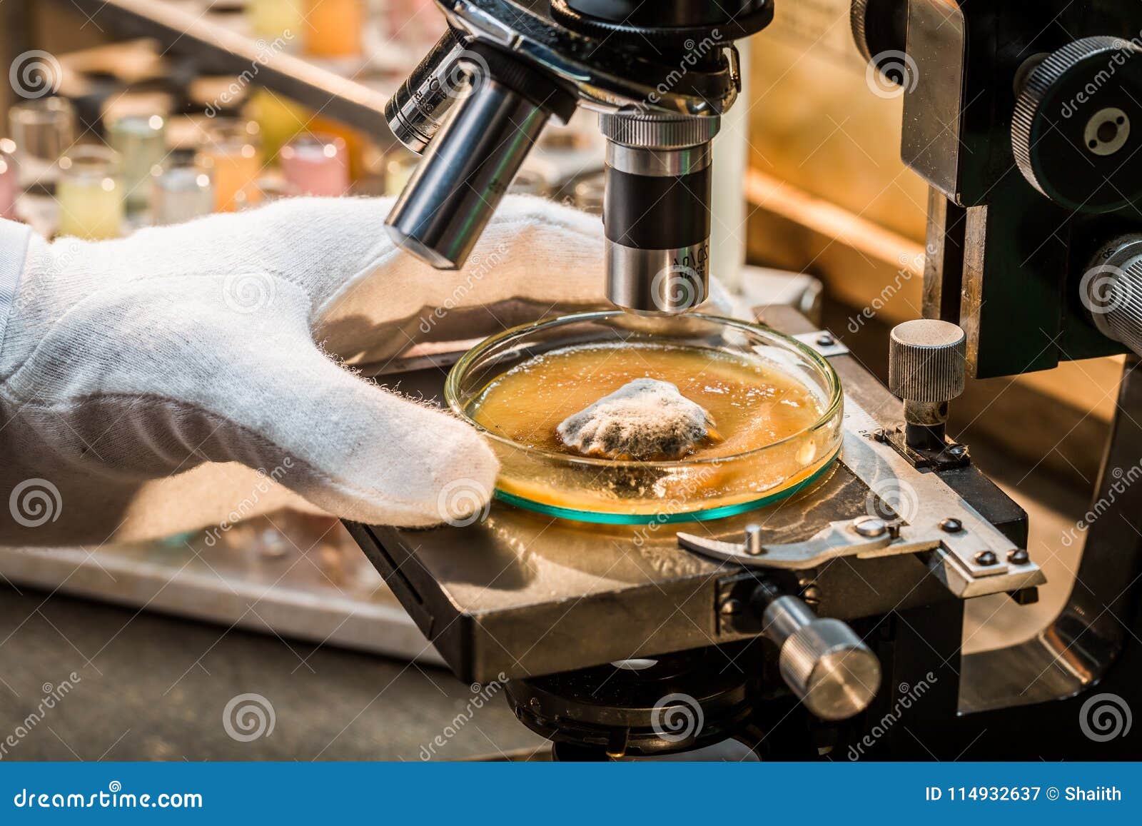 Laboratory with Sample Testing through the Microscope Stock Image ...