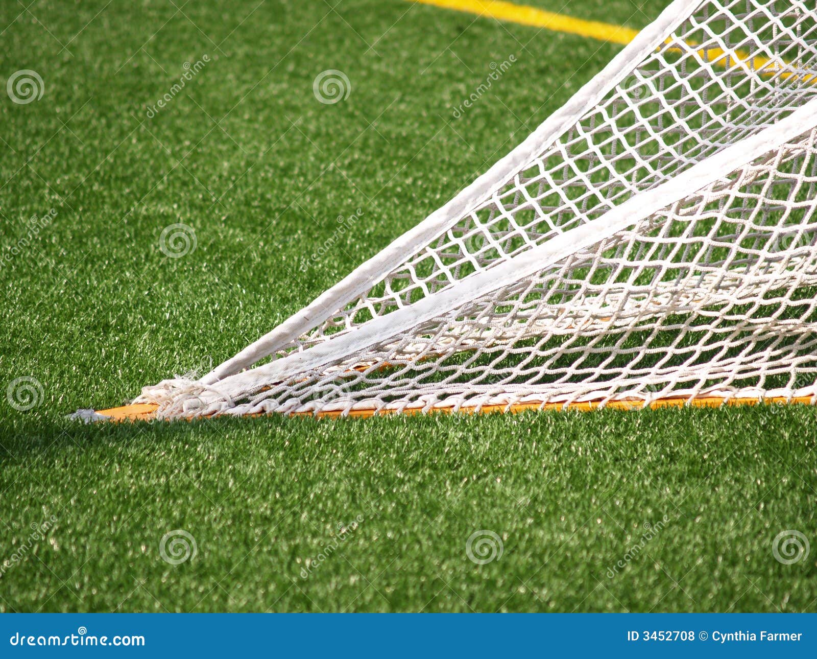 Closeup of lacrosse net stock photo. Image of white, detail - 3452708