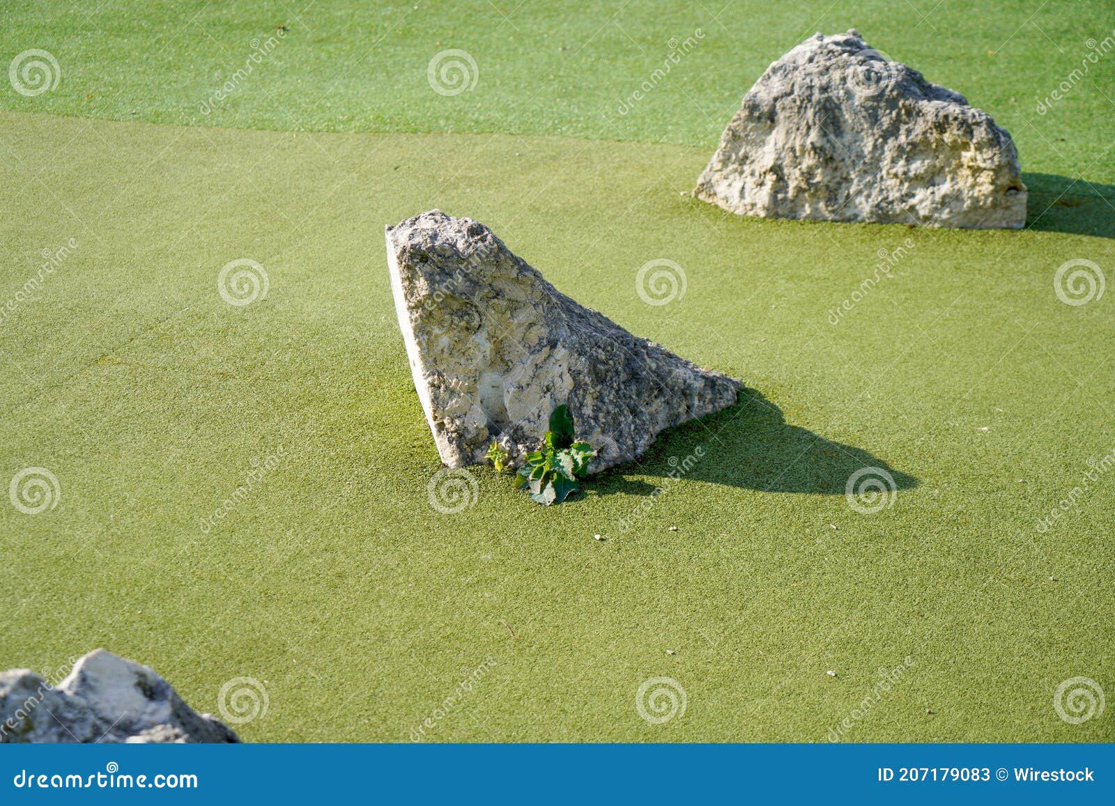 Closeup of the Landscape Boulders on the Artificial Grass Stock Image ...