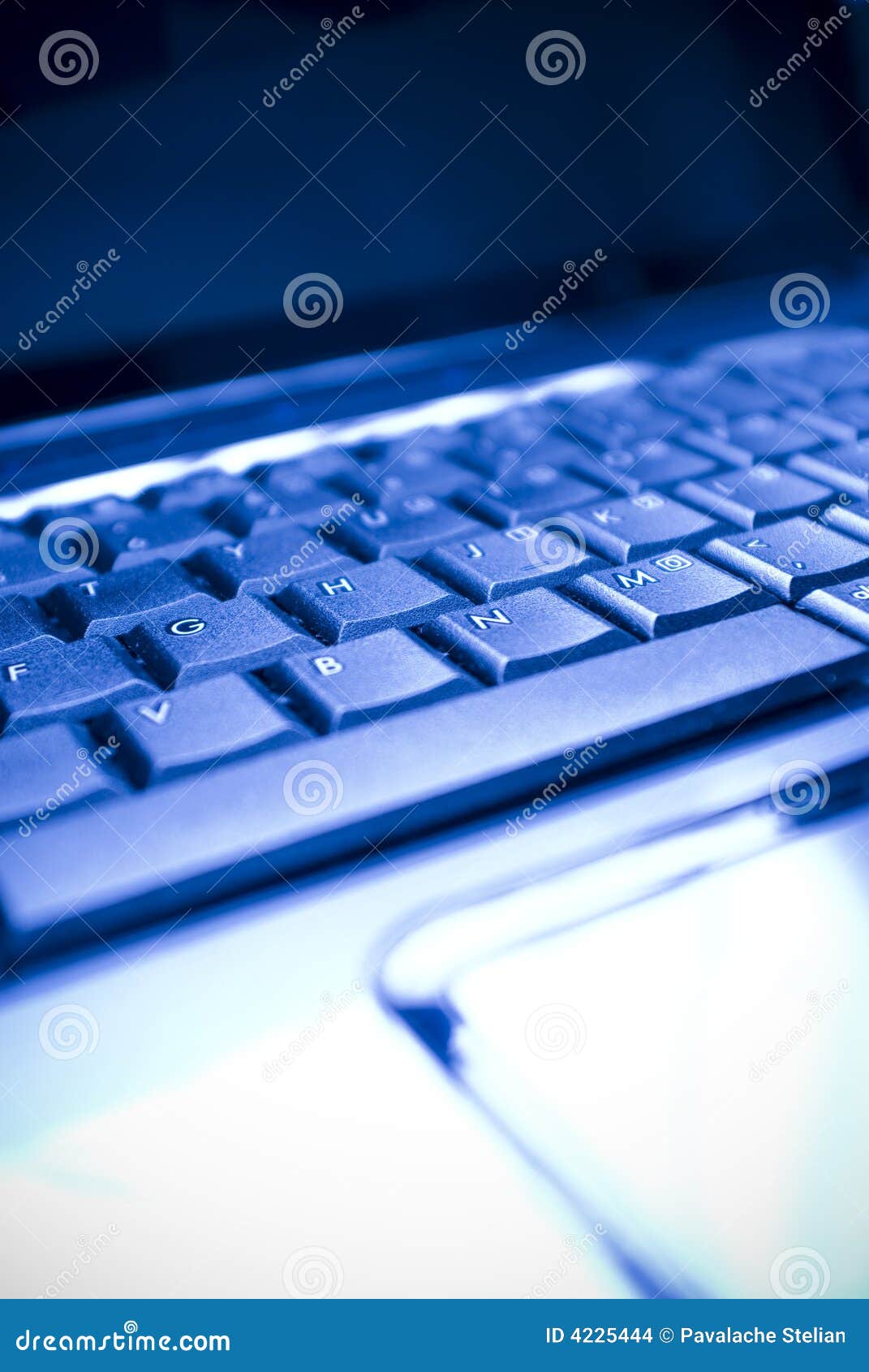 Closeup of laptop keyboard stock photo. Image of technology - 4225444
