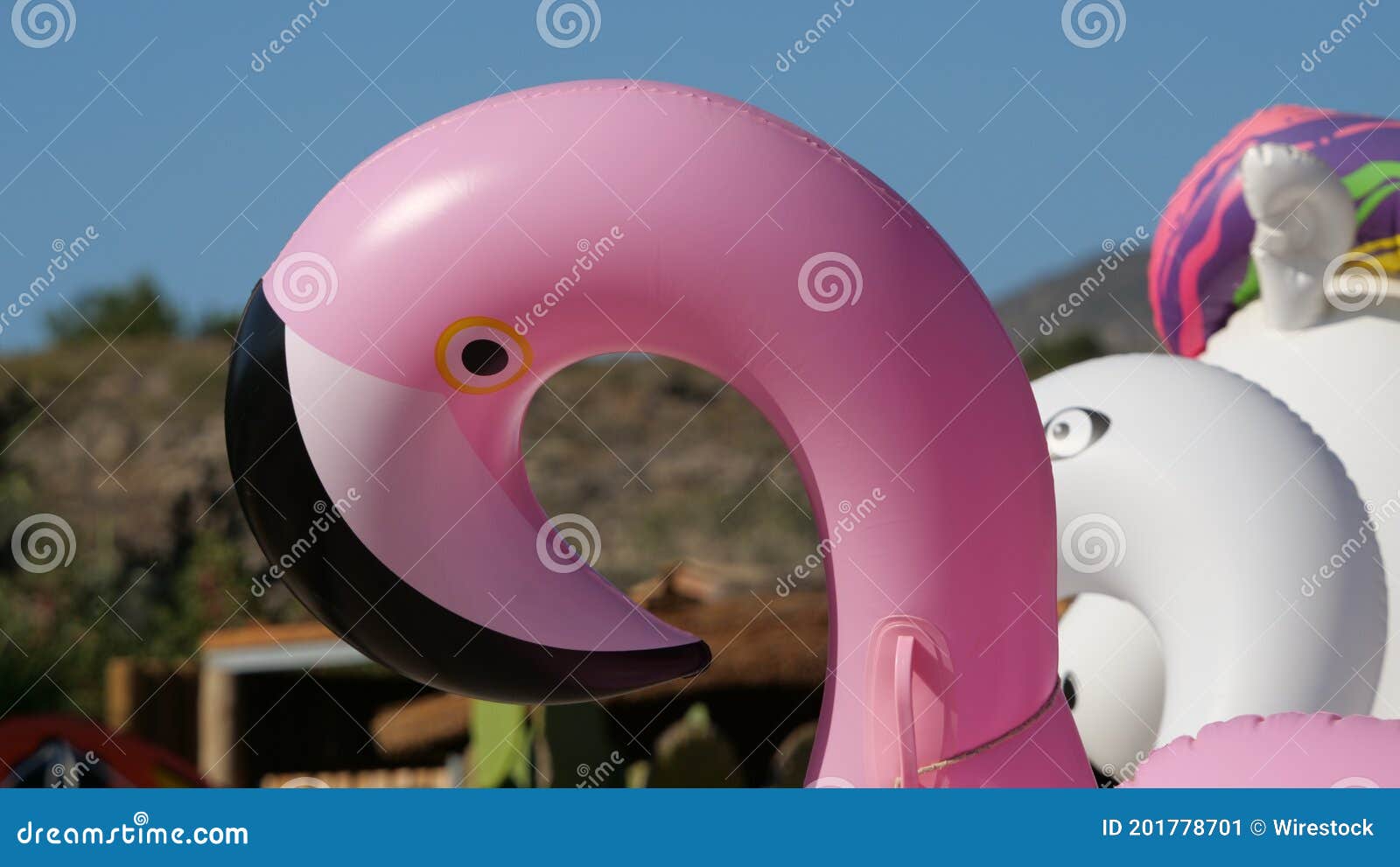 Closeup of a Large Inflatable Pool Pink Flamingo in a Pool during the ...
